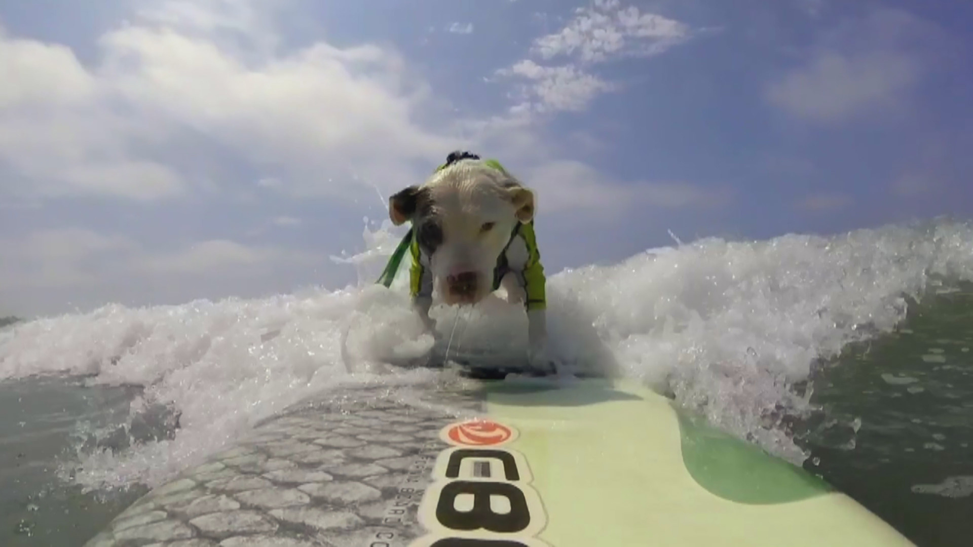 Guarda Most Ridiculous stagione 6 episodio 15: Episodio 15 - Paramount+ ...