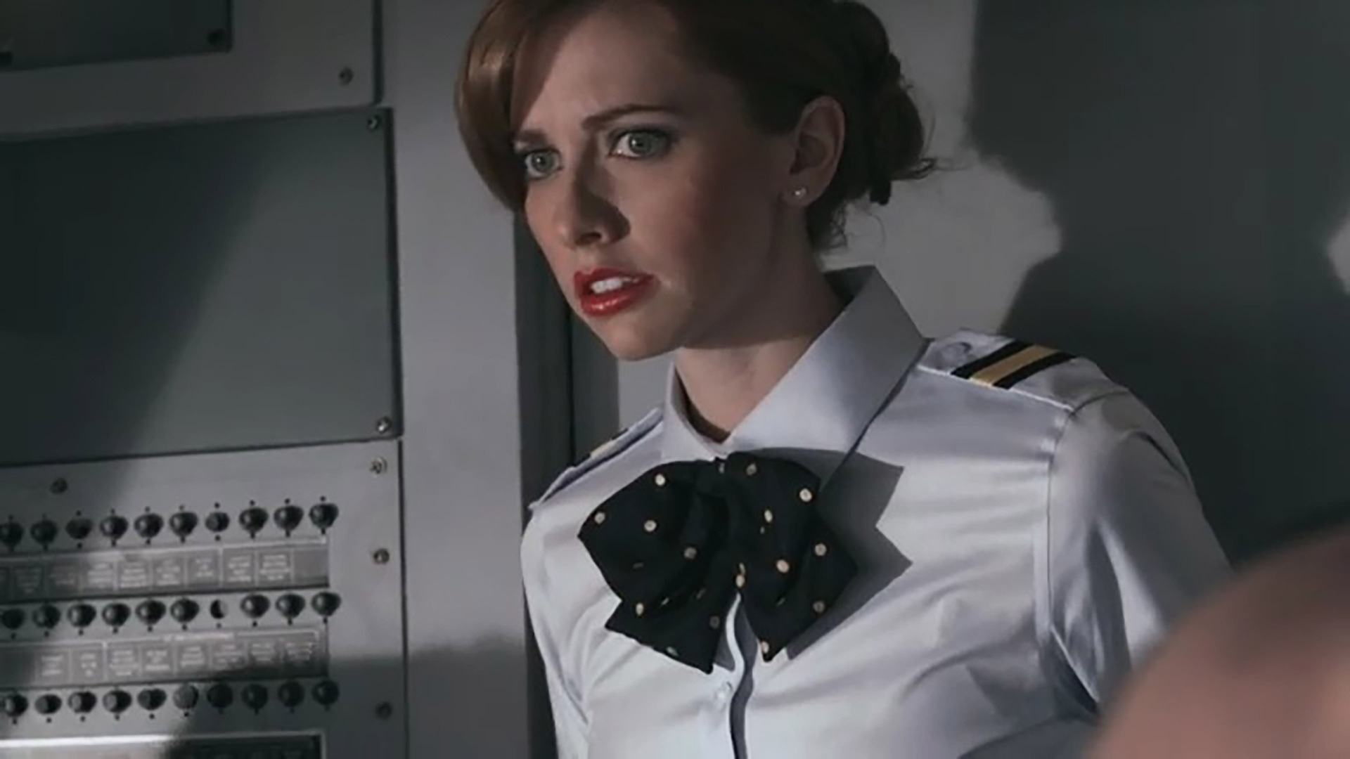 Watch Air Disasters Season 20 Episode 18: Courage in the Cockpit ...