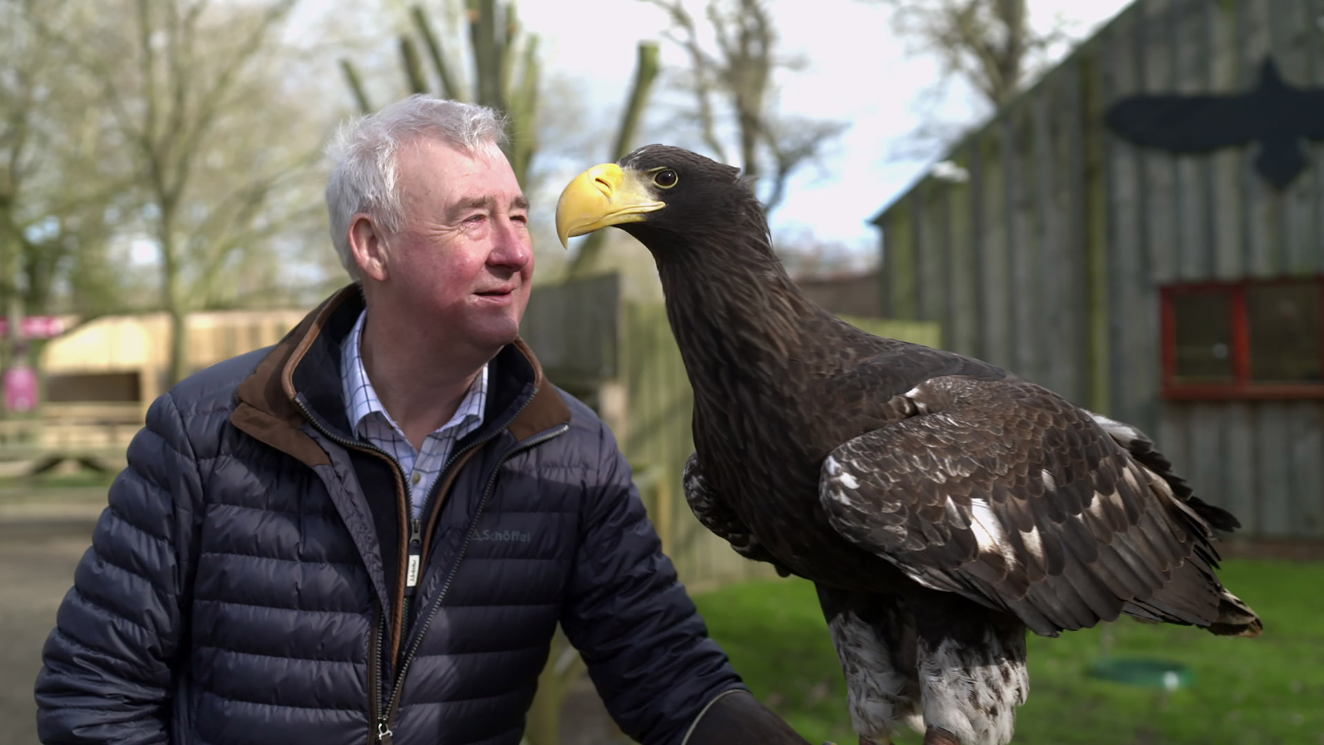 Watch Springtime on the Farm: Springtime on the Farm - Episode 3 - Full ...