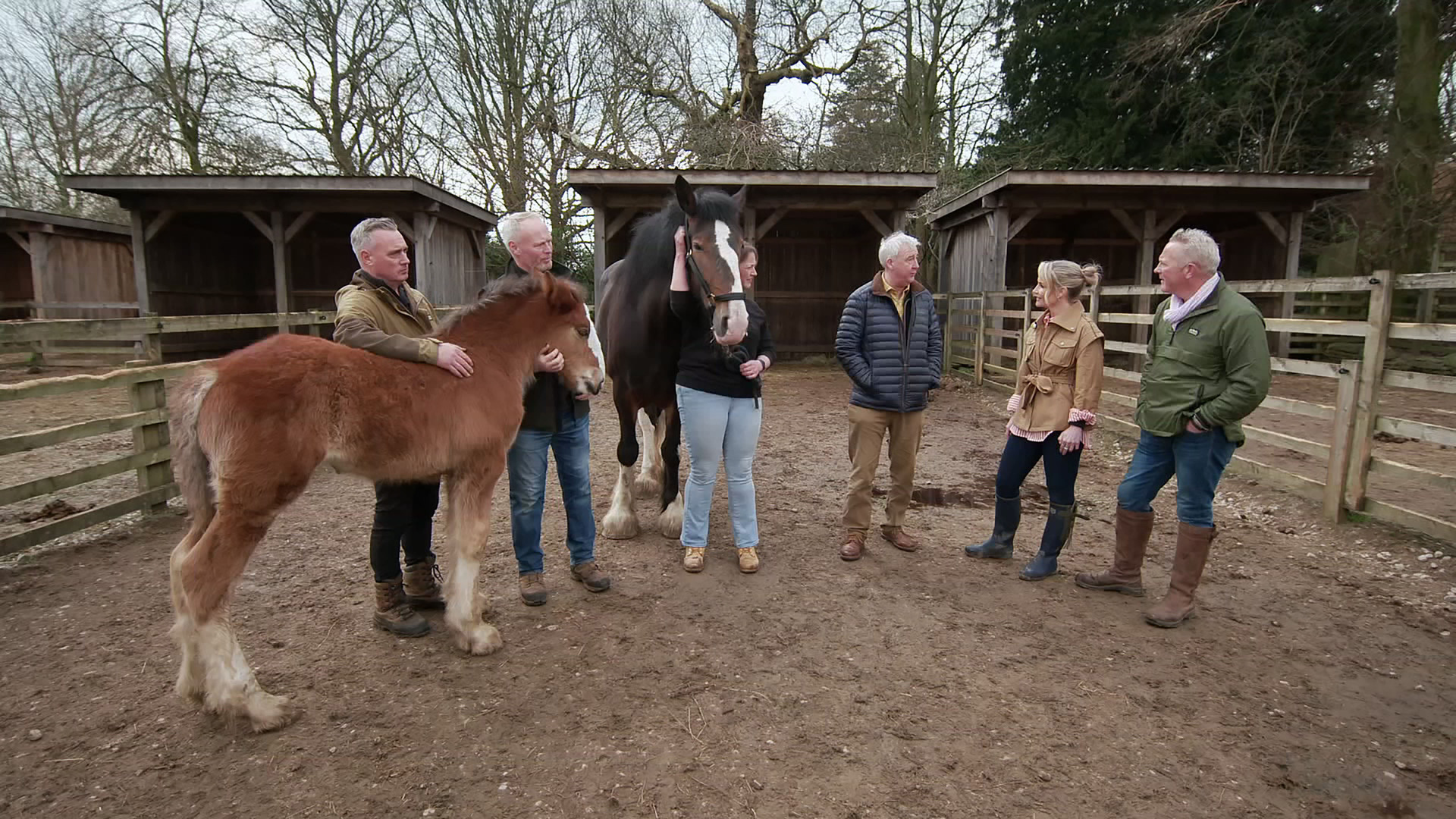 Watch Springtime on the Farm: Springtime on the Farm - Episode 2 - Full ...