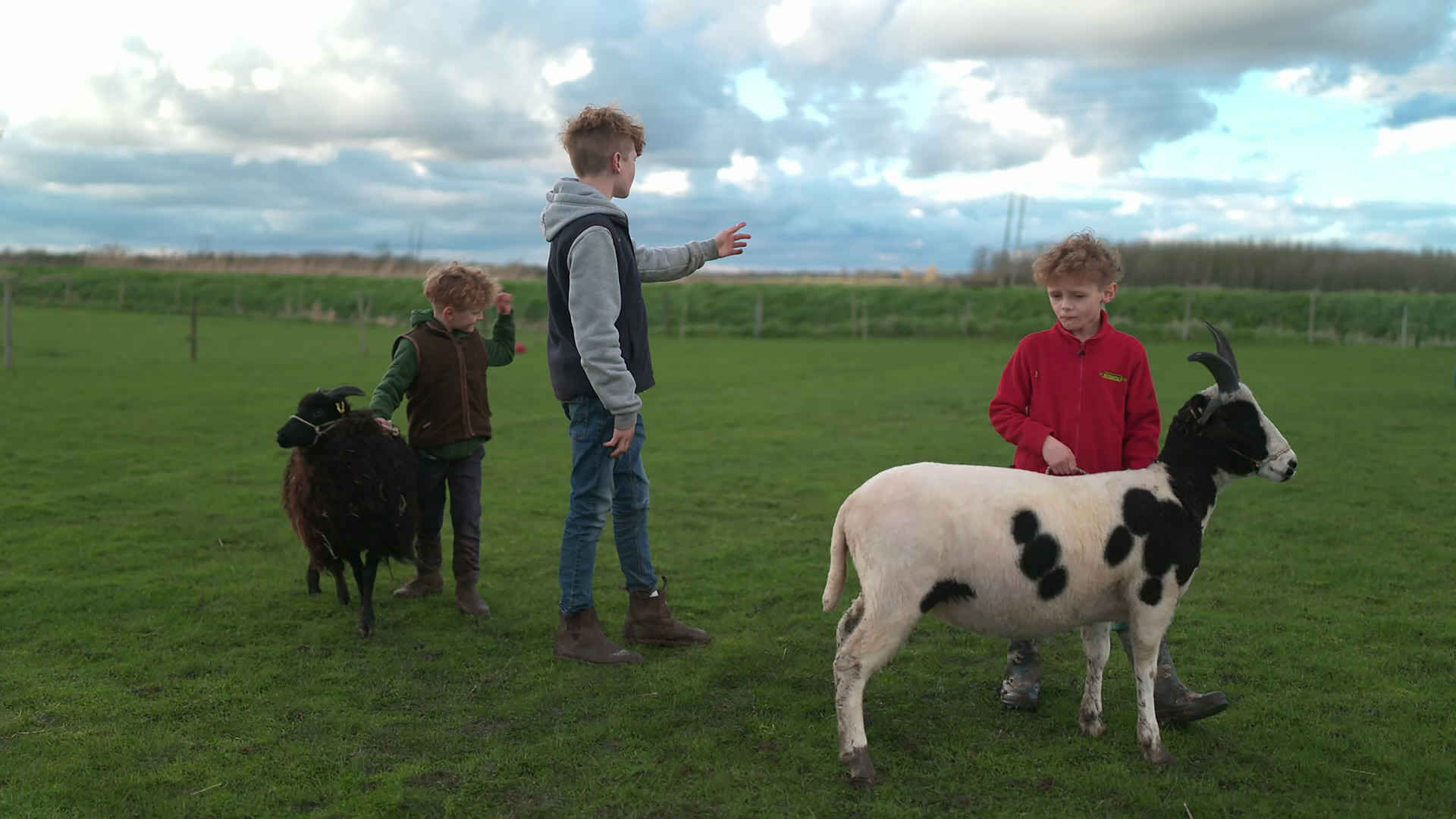 Watch Springtime on the Farm: Springtime on the Farm - Episode 1 - Full ...