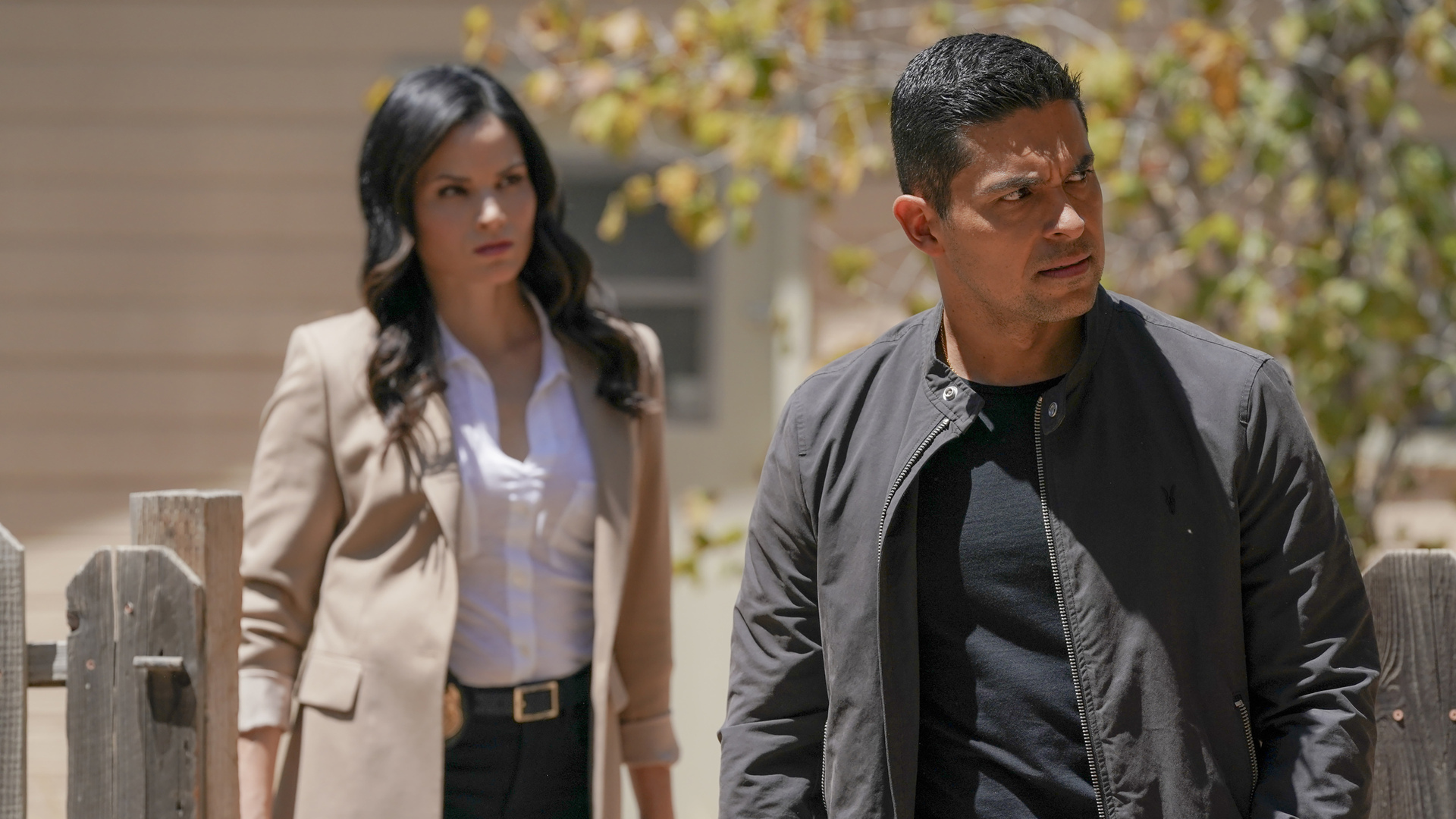 Watch NCIS Season 19 Episode 3: Road to Nowhere - Paramount+ United Kingdom