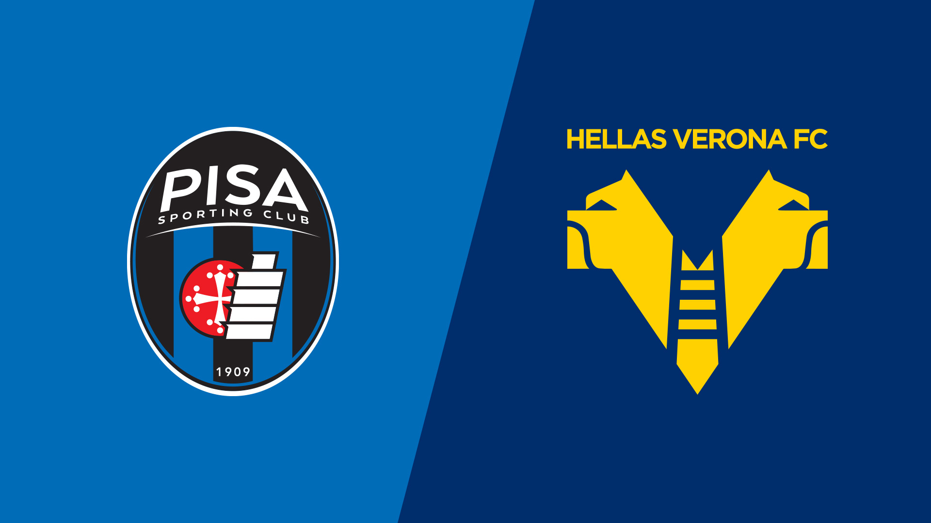 Hellas Verona Fc History Book TheFootyBlog.net » New Hellas Verona X