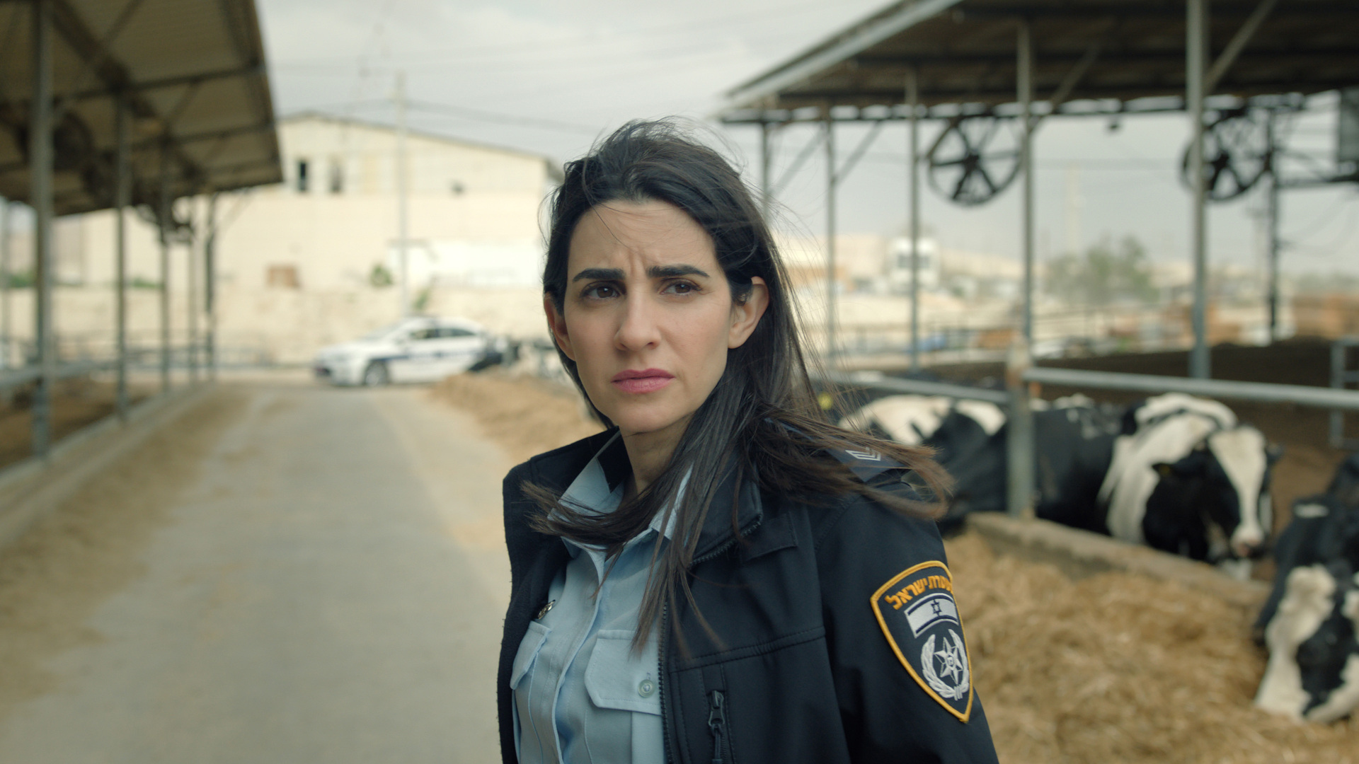 Watch Fireflies: Fireflies - Episode 4 - Full Show on Paramount+ Canada