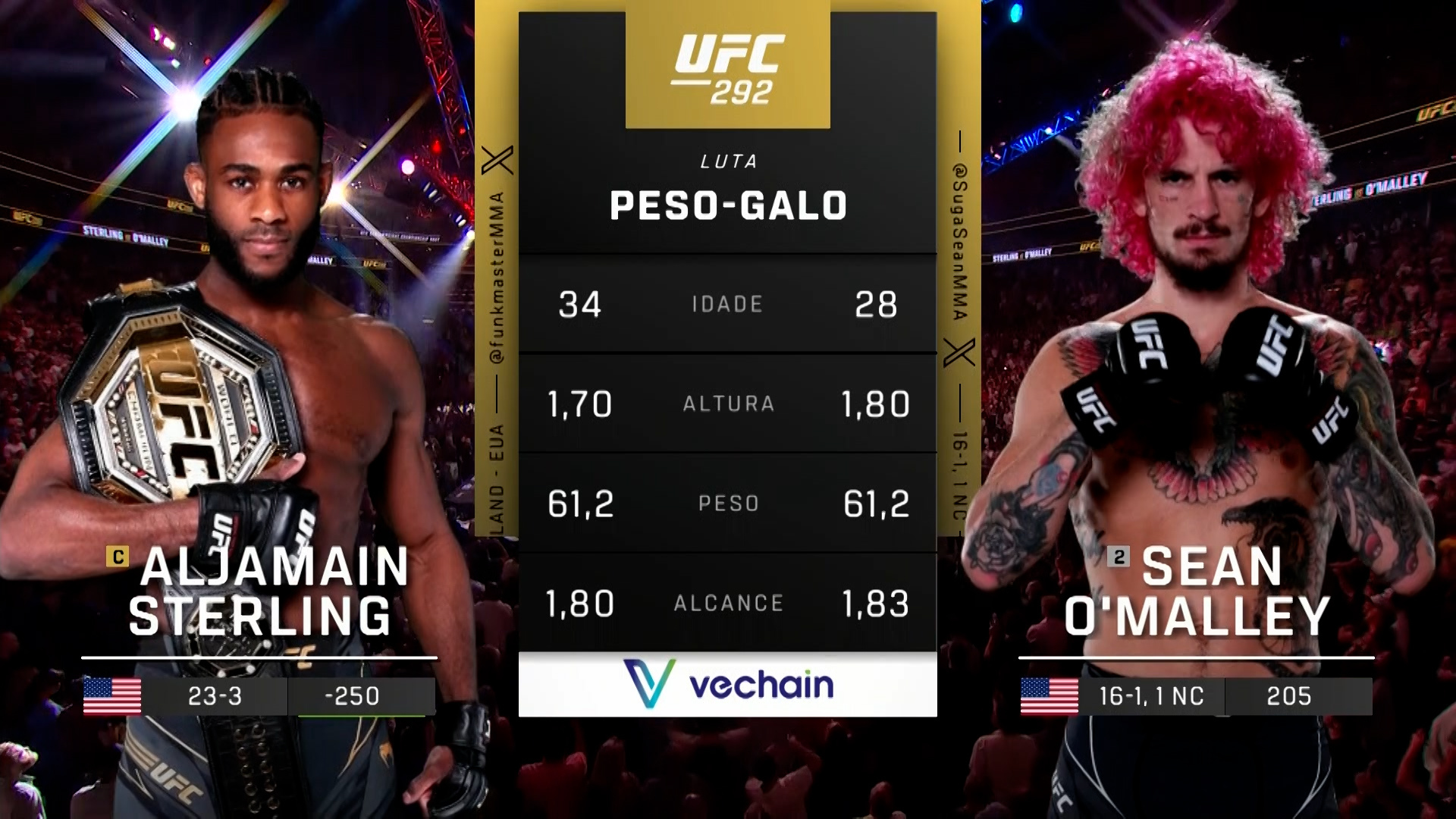 Ve UFC (Português) Aljamain Sterling vs. Sean O'Malley (UFC 292 ...