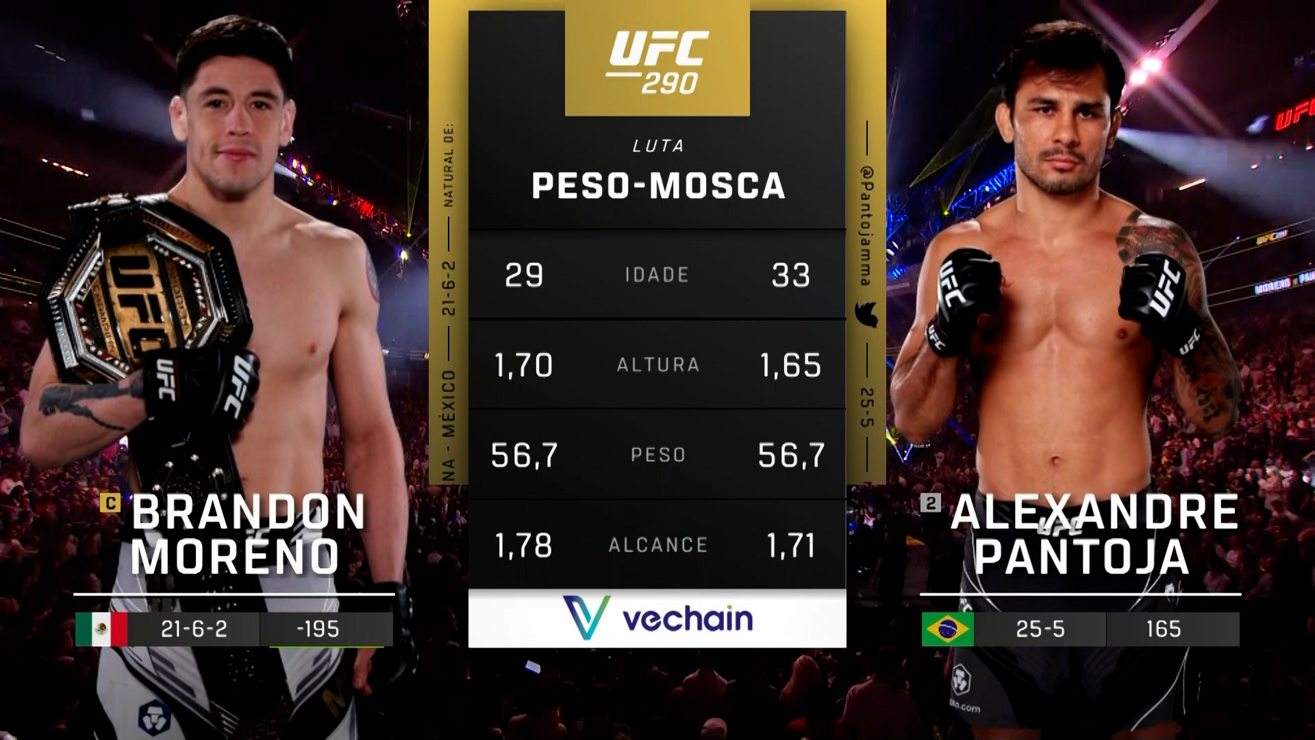 Ve UFC (Português) Brandon Moreno vs. Alexandre Pantoja (UFC 290 ...