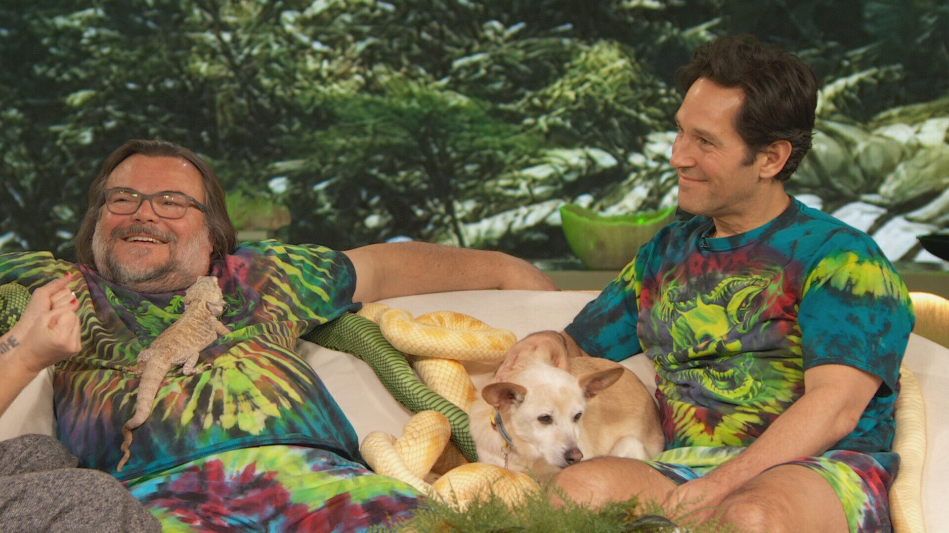 Watch The Drew Barrymore Show Season 6 Episode 141: Jack Black and Paul ...