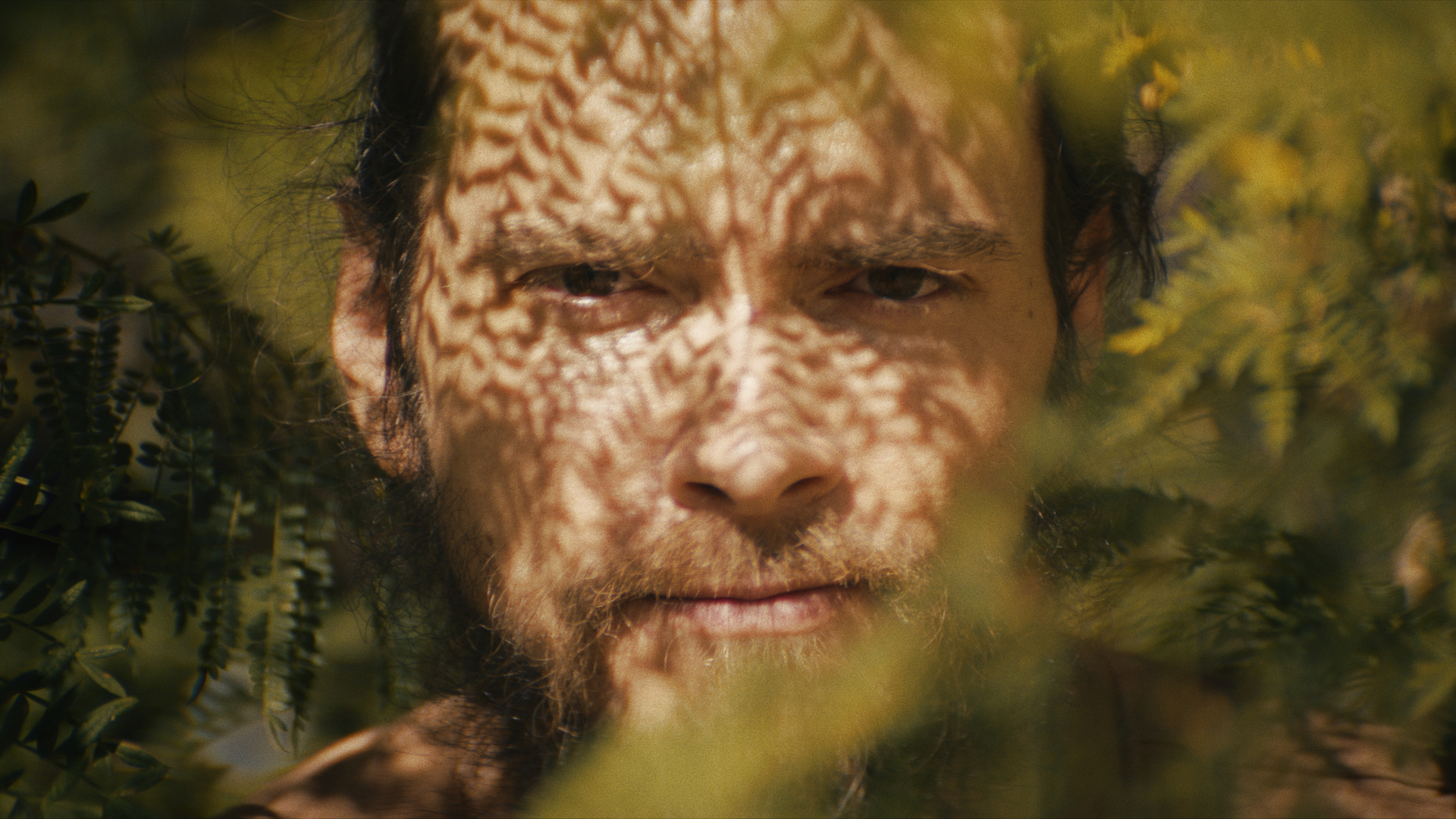 Watch Wild Boys: Strangers in Town Season 1 Episode 1: Out of the Woods ...