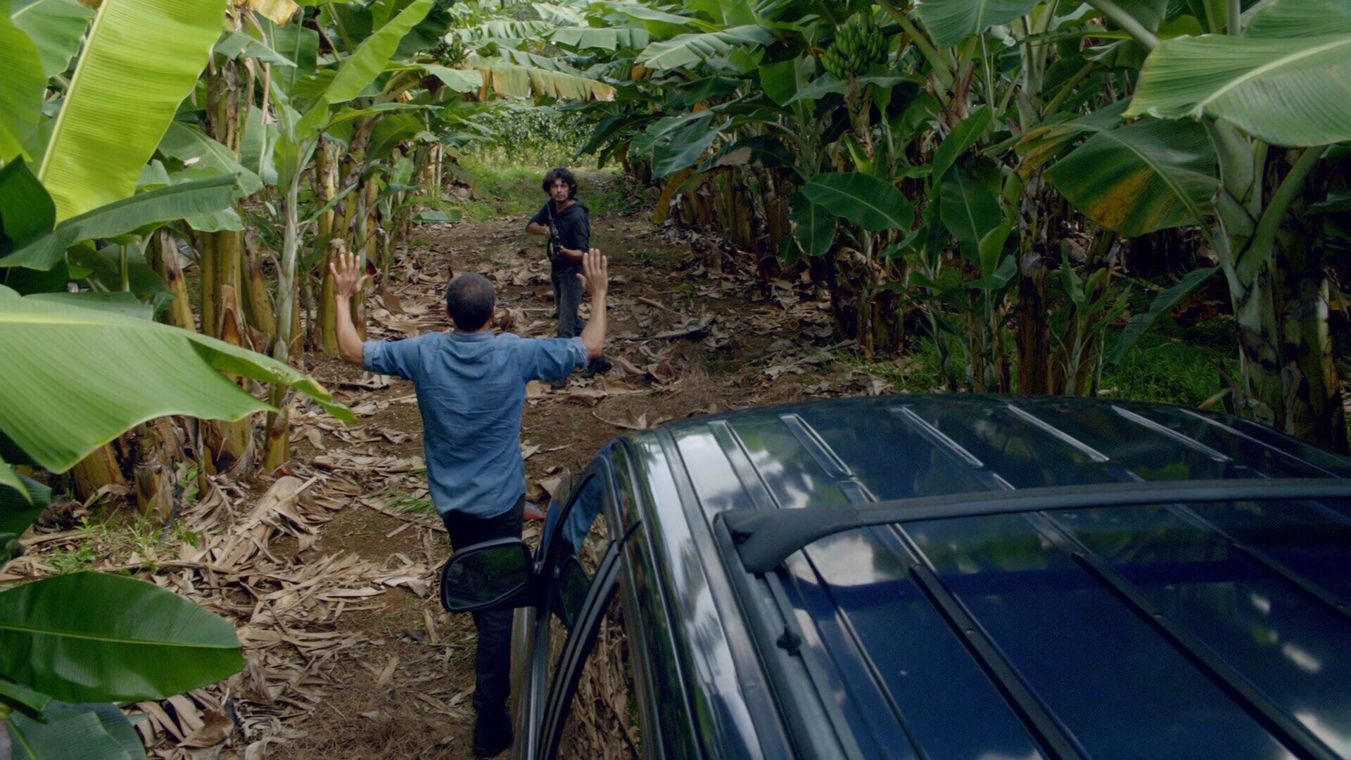 Mira Hawaii Five-0, temporada 3, episodio 24: Aloha. Malama Pono (Adiós ...