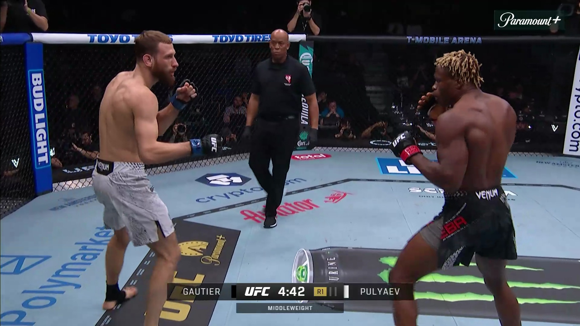 Ve UFC (Español) Ateba Abega Gautier vs. Andrey Pulyaev (UFC 324 ...