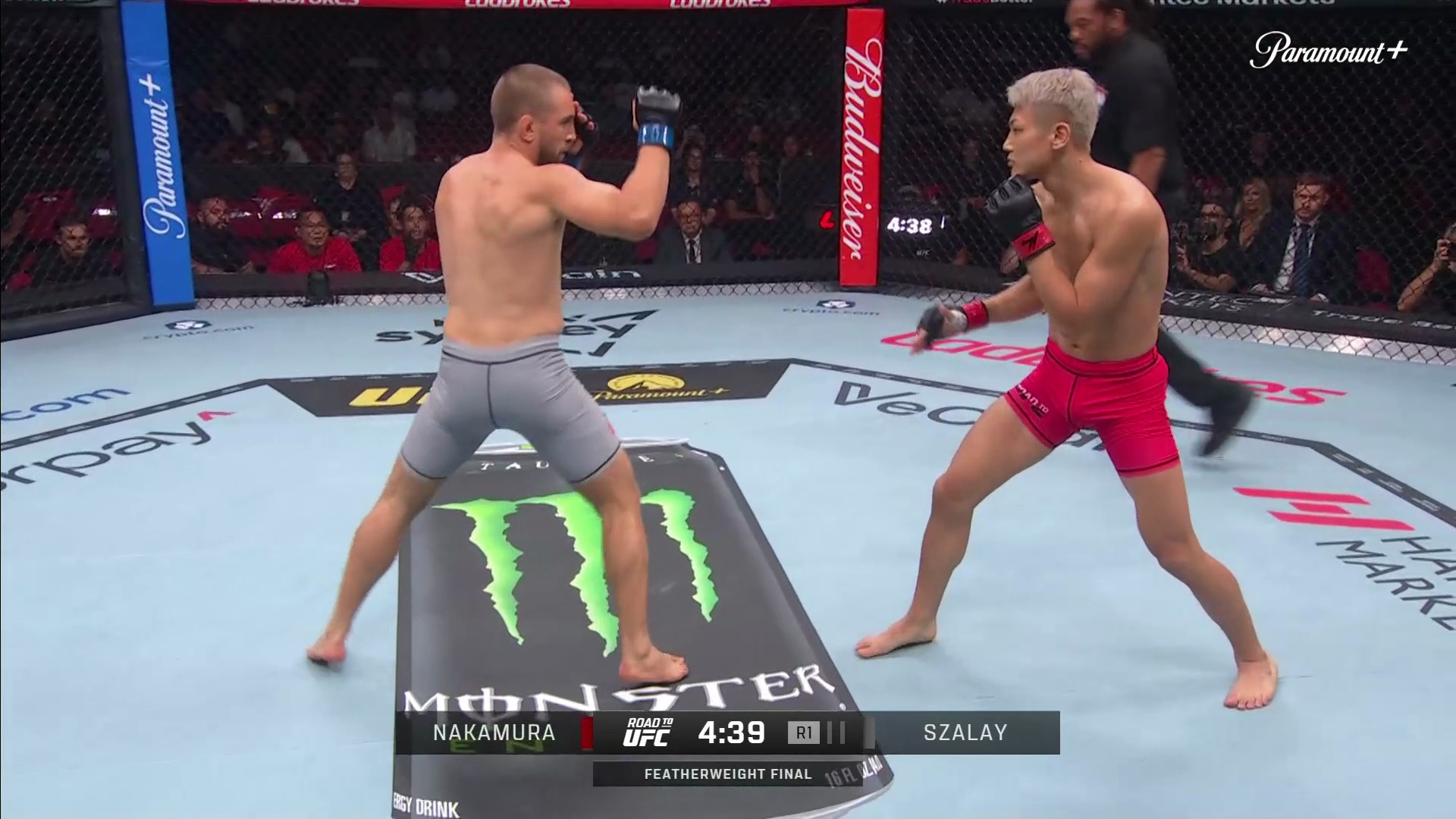 Ve UFC Keiichiro Nakamura vs. Sebastian Szalay (UFC 325: Volkanovski vs ...