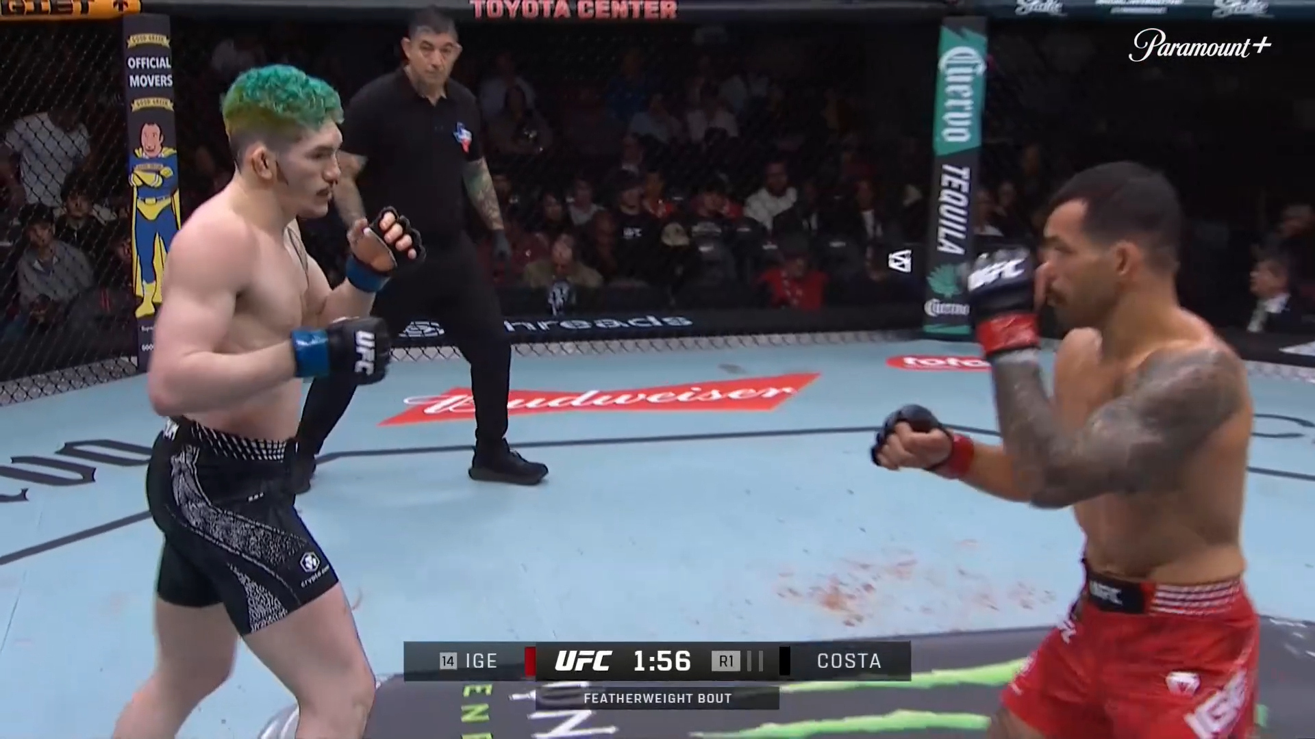 Watch UFC Fight Night (Português) Dan Ige x Melquizael Costa (UFC Fight ...