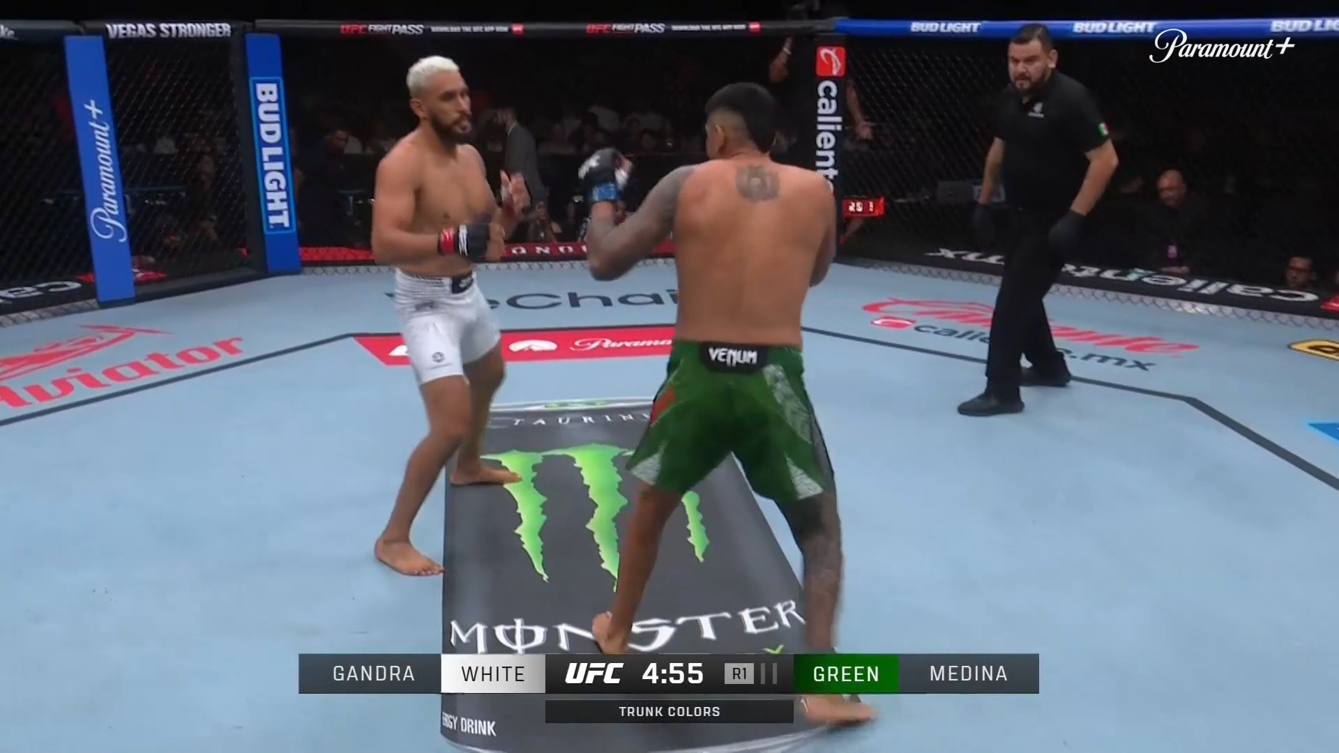 Watch UFC Fight Night (Español) Ryan Gandra vs. Jose Daniel Medina (UFC ...