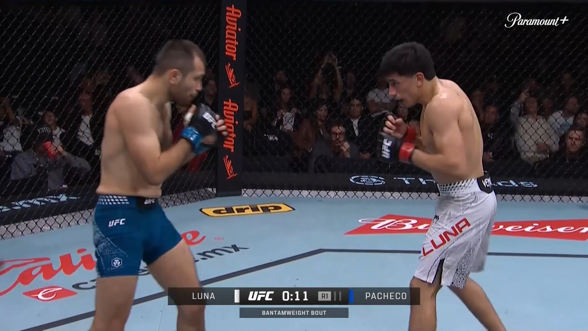 Ve UFC Fight Night (Español) Santiago Luna vs. Angel Pacheco (UFC Fight ...
