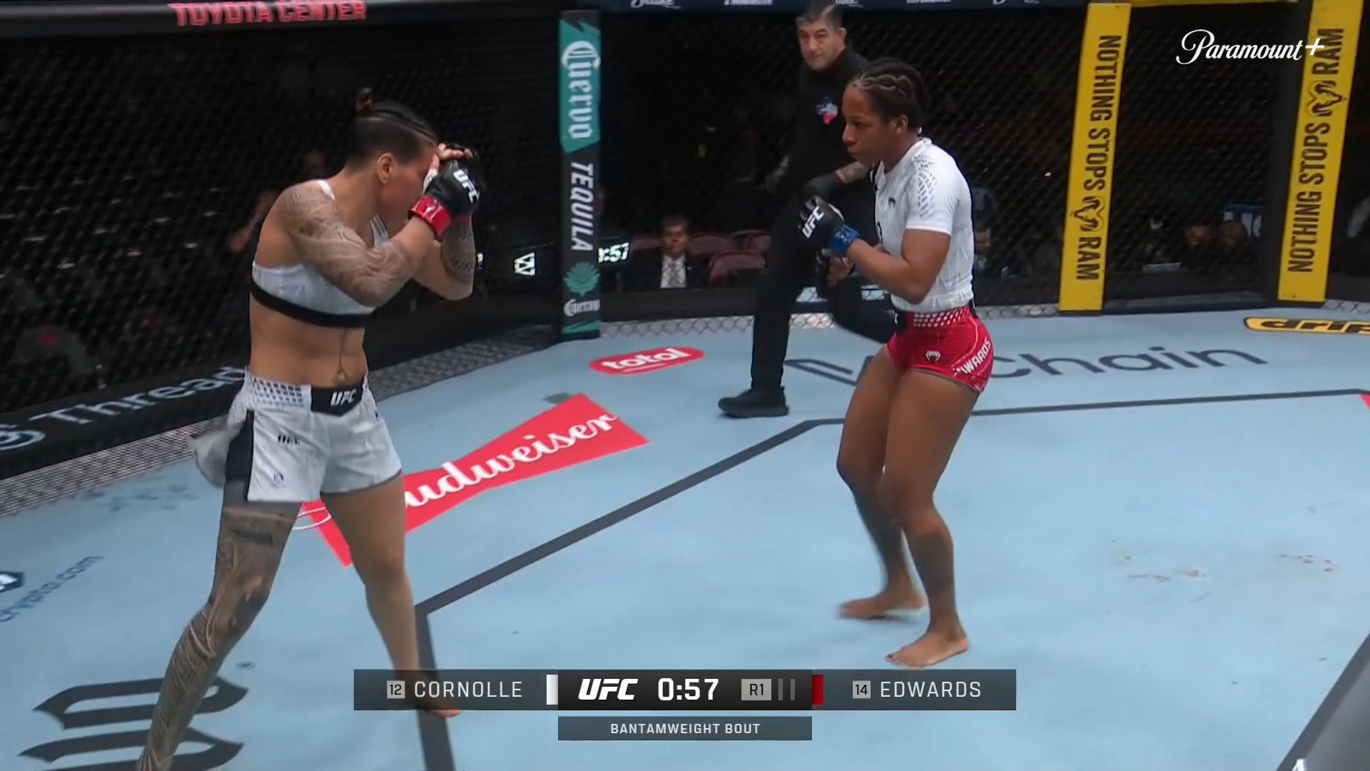 Watch UFC Fight Night Nora Cornolle vs. Joselyne Edwards (UFC Fight ...