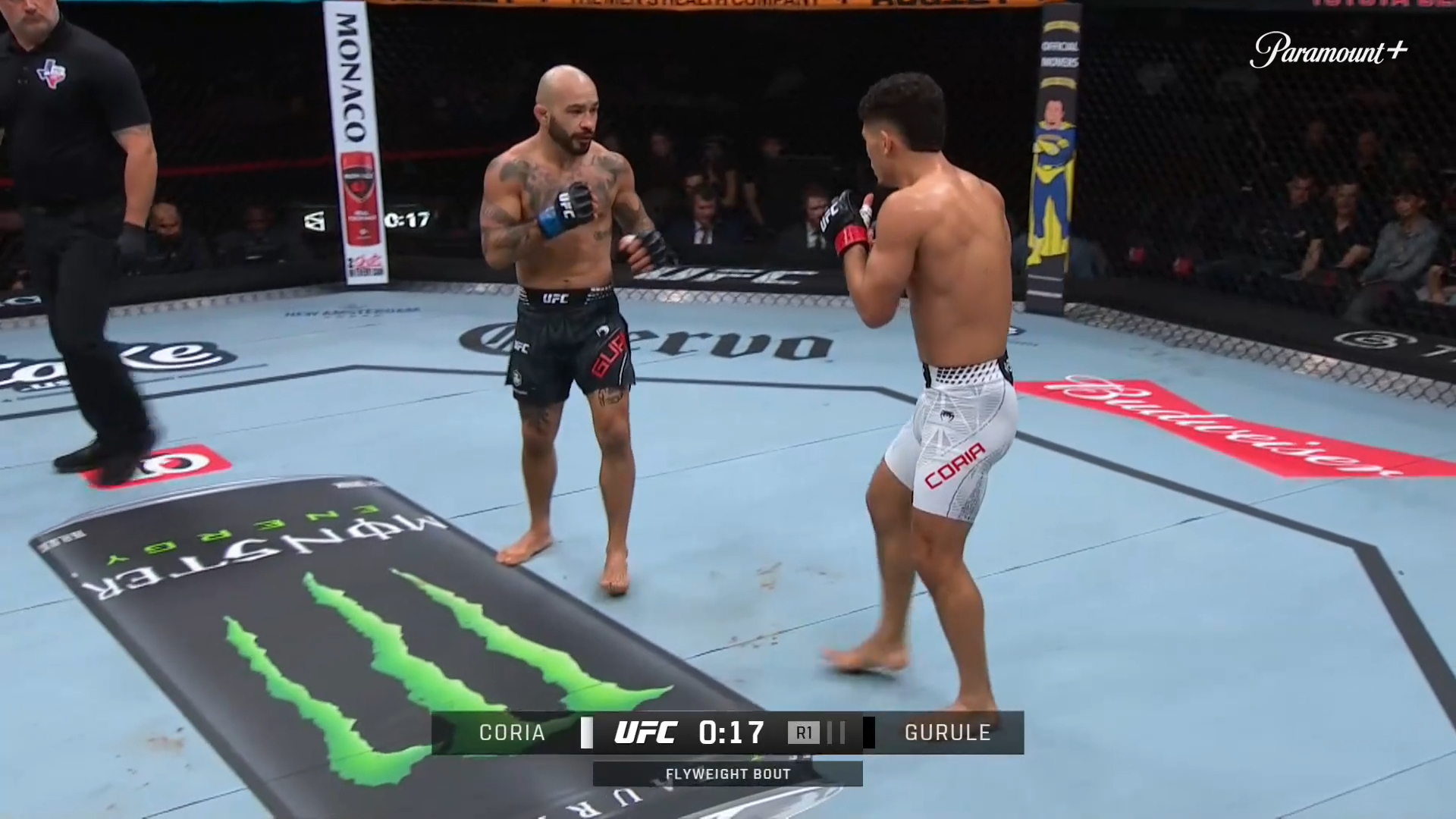 Watch UFC Fight Night Alden Coria vs. Luis Gurule (UFC Fight Night ...