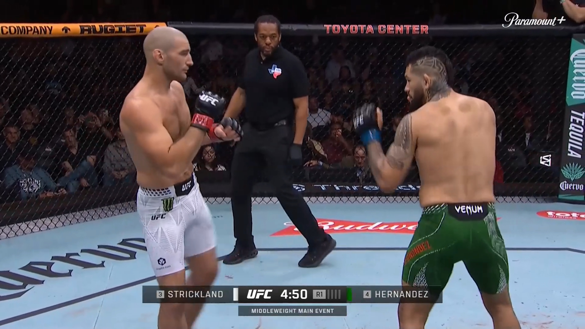 Ve UFC Fight Night Sean Strickland vs. Anthony Hernandez (UFC Fight ...