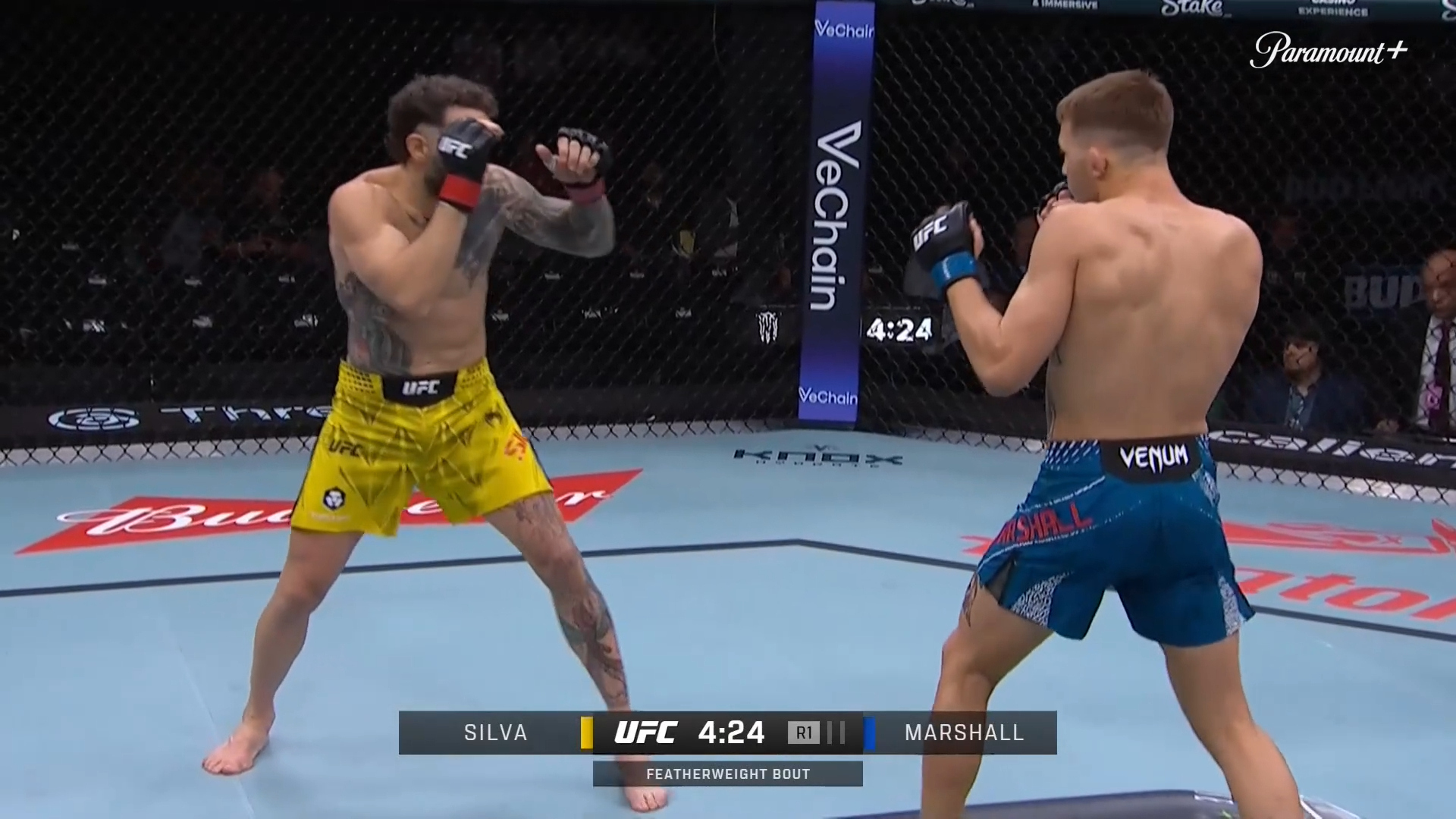 Ve UFC Fight Night Erik Silva vs. Francis Marshall (UFC Fight Night ...