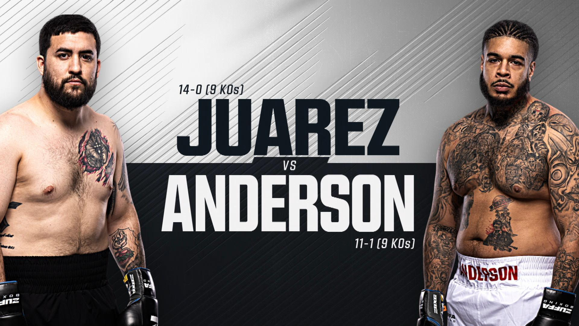 Watch Zuffa Boxing Joshua Juarez vs. Jardae Anderson (Zuffa 04: Opetaia ...