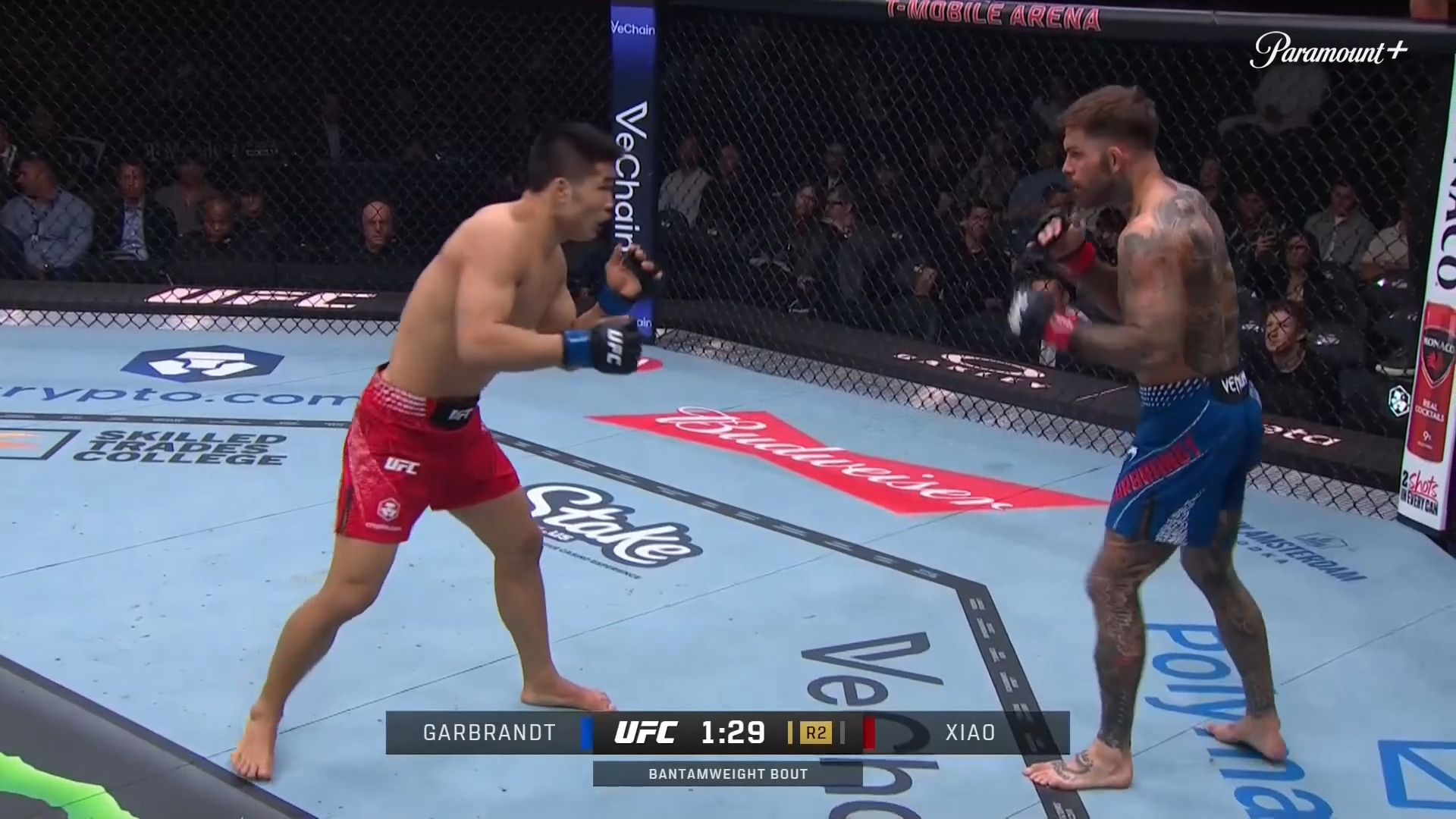 Ve UFC (Português) Cody Garbrandt x Xiao Long (UFC 326: Holloway x ...