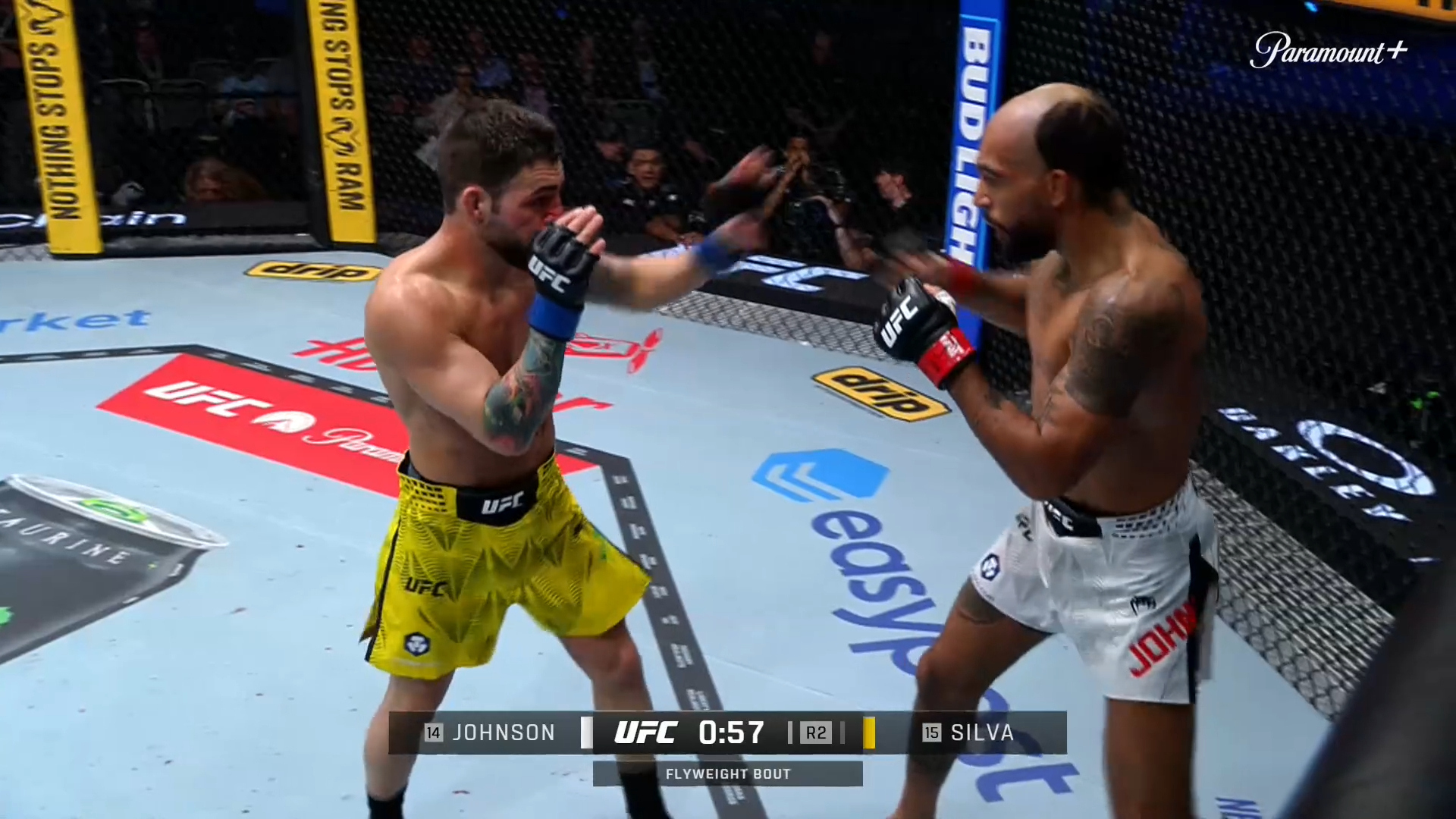 Ve UFC Fight Night (Português) Charles Johnson x Bruno Silva (UFC Fight ...