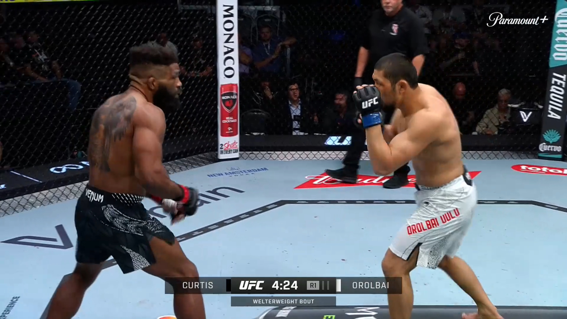 Ve UFC Fight Night (Español) Chris Curtis vs. Myktybek Orolbai (UFC ...