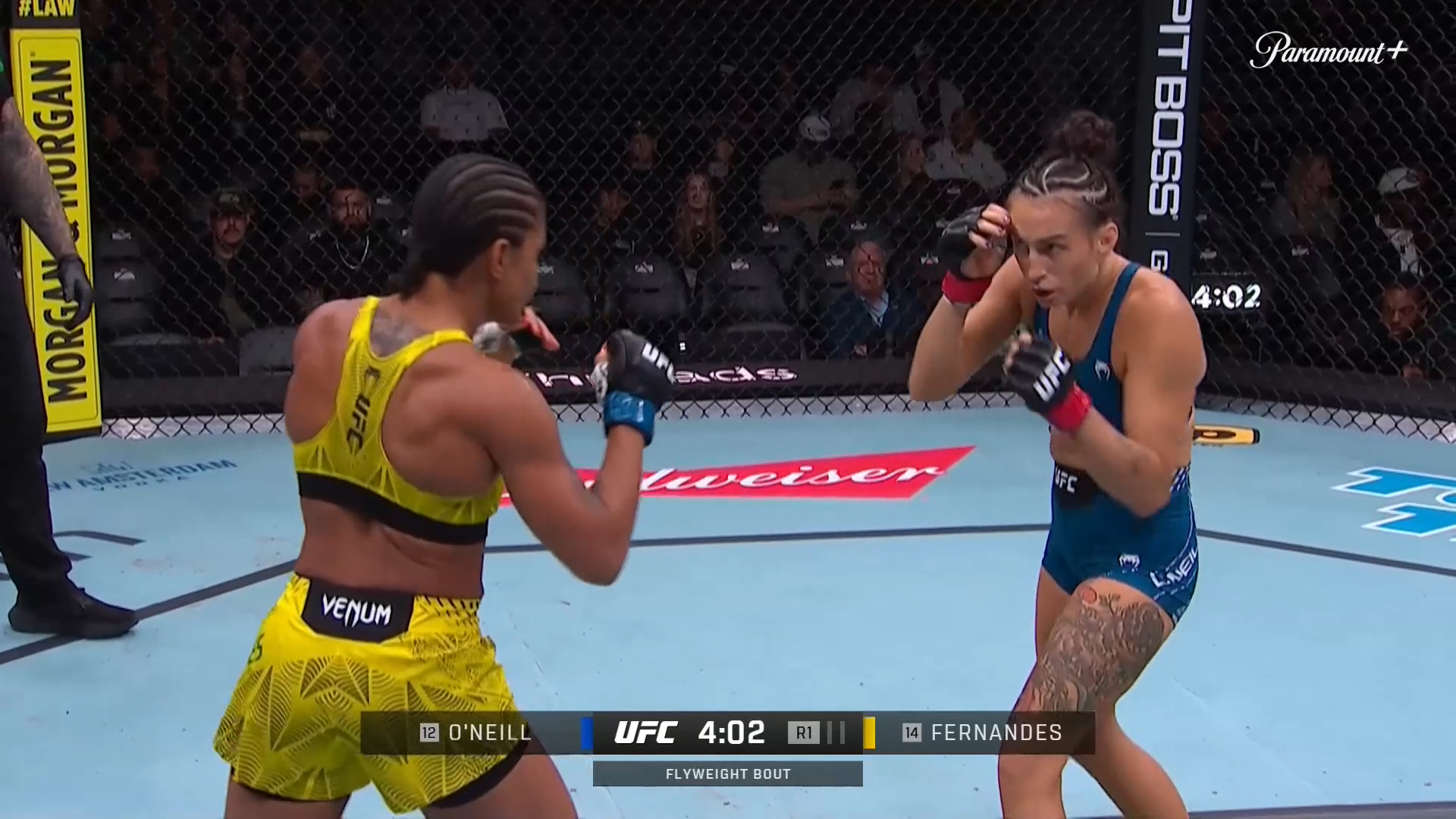 Watch UFC Fight Night Casey O’Neill vs. Gabriella Fernandes (UFC Fight ...
