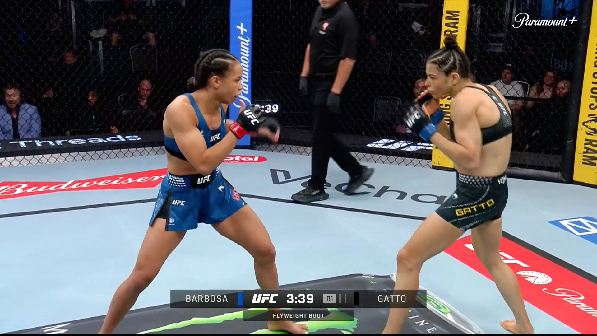 Watch UFC Fight Night (Español) Dione Barbosa vs. Melissa Gatto (UFC ...