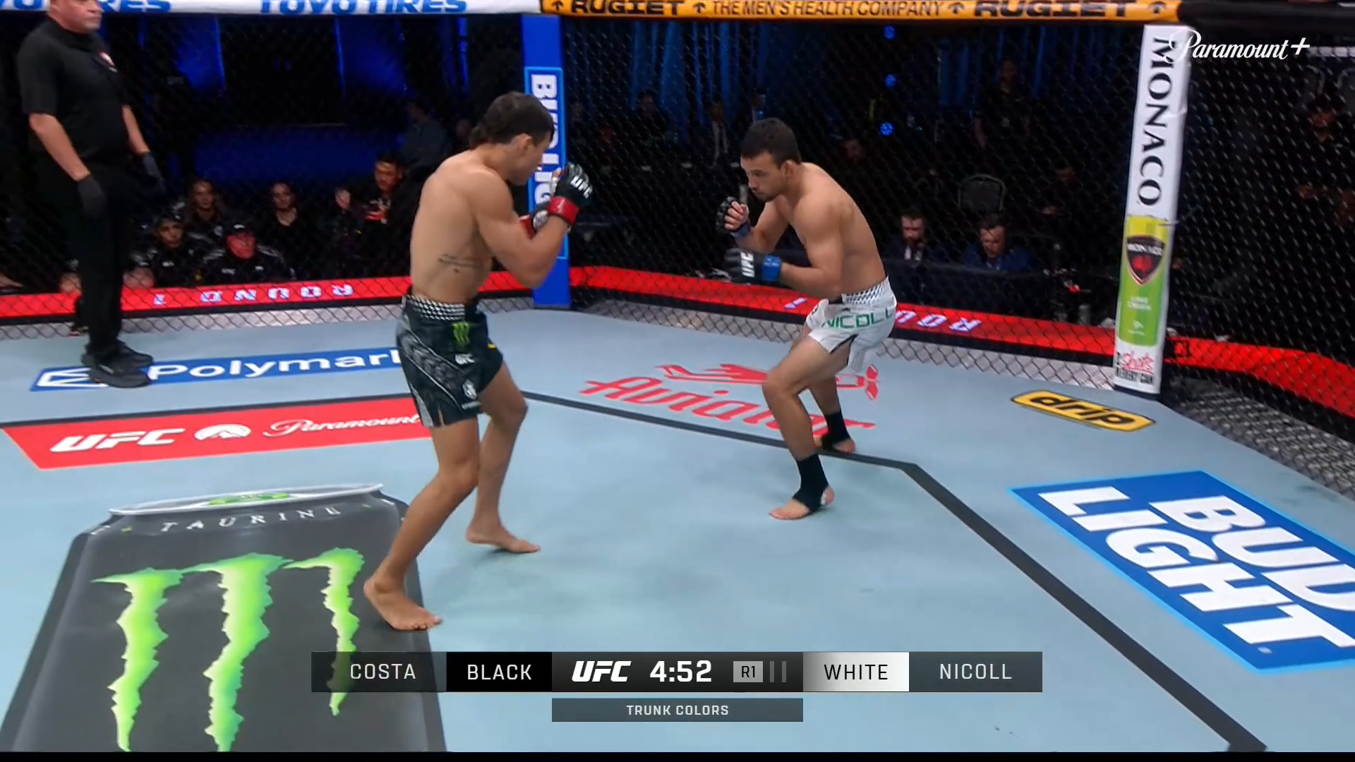 Watch UFC Fight Night Alessandro Costa vs. Stewart Nicoll (UFC Fight ...