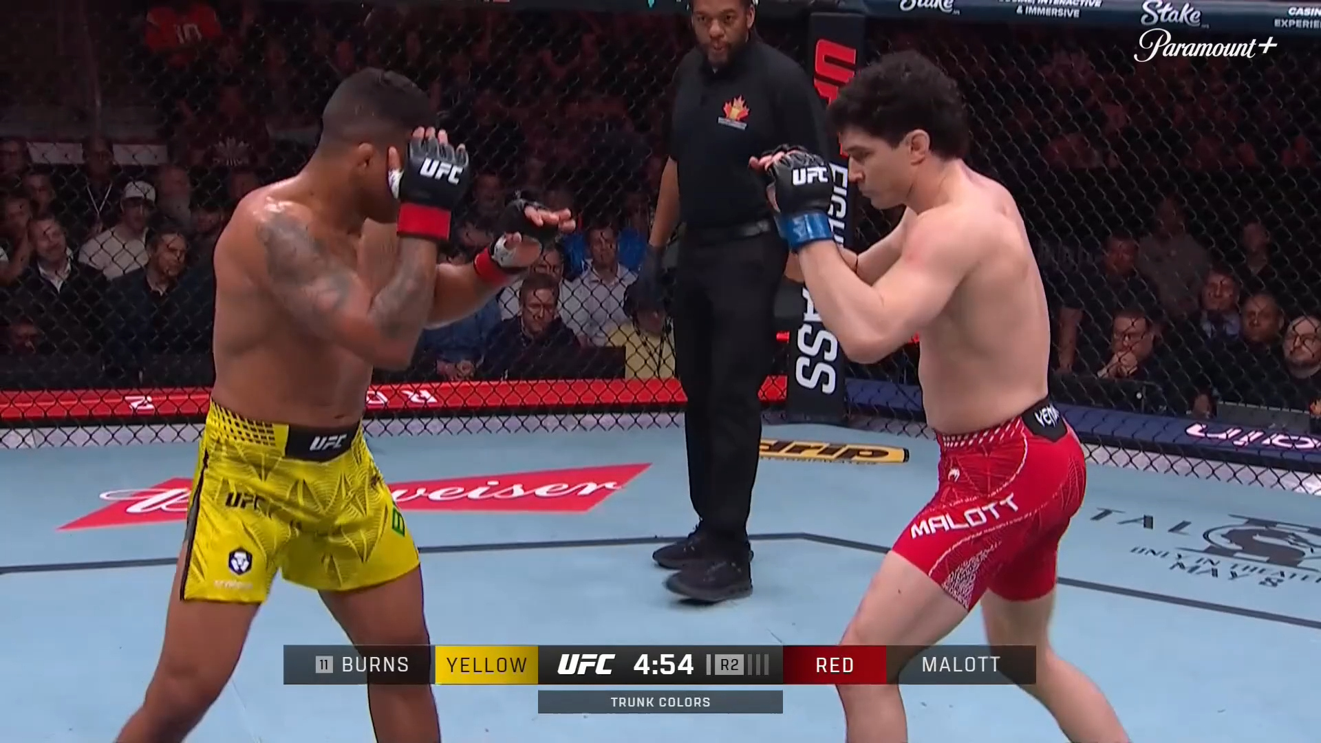 Ve UFC Fight Night Gilbert Burns vs. Mike Malott (UFC Fight Night ...