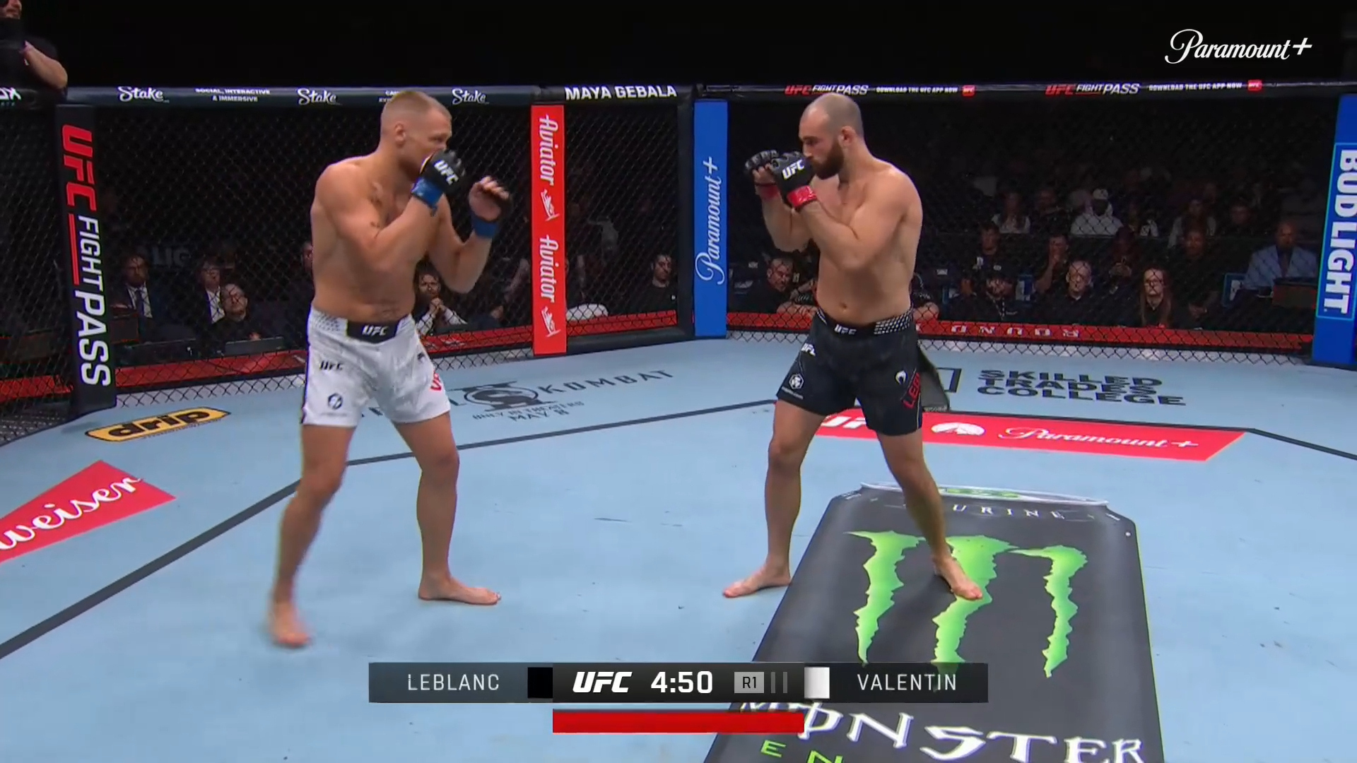 Ve UFC Fight Night (Português) Julien Leblanc x Robert Valentin (UFC ...