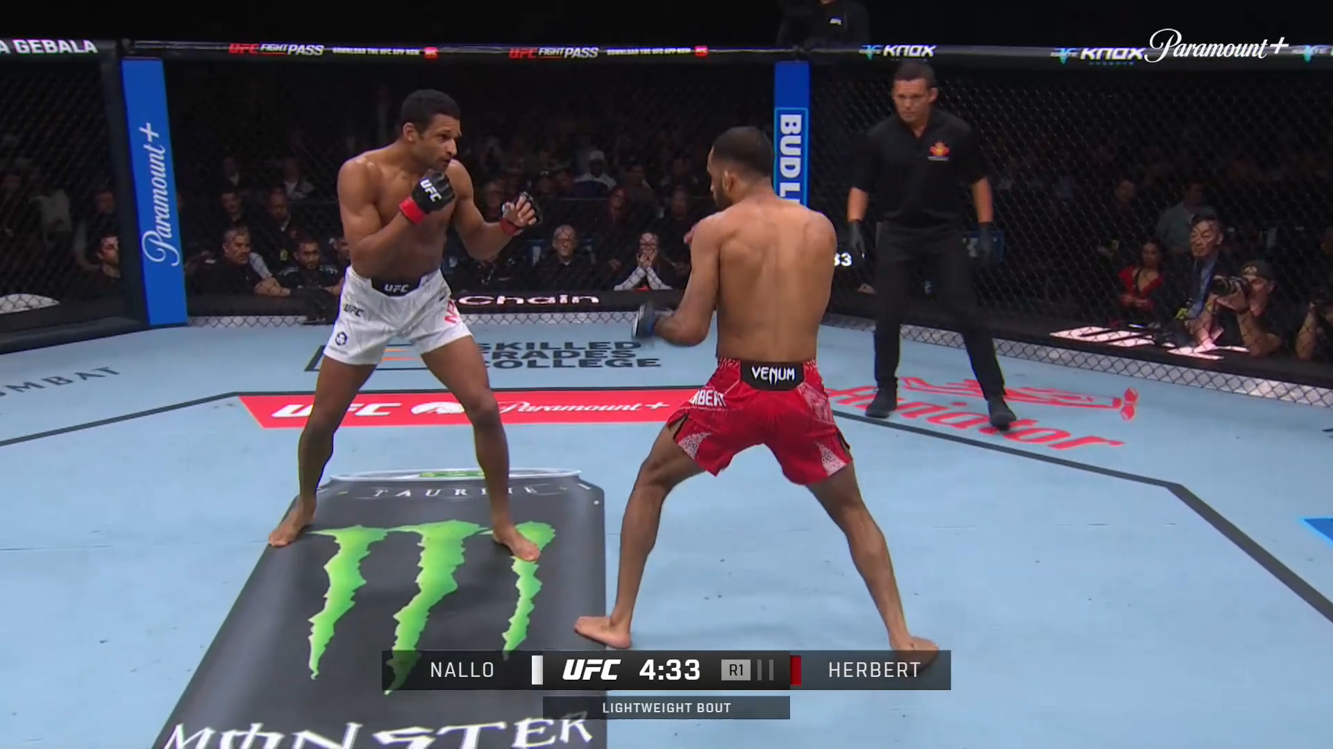 Assista a UFC Fight Night (Português) Mandel Nallo x Jai Herbert (UFC ...