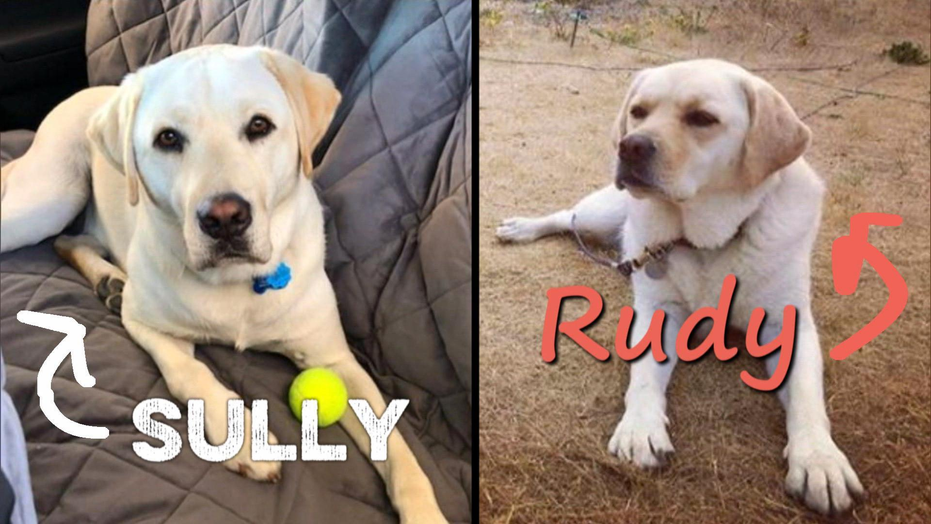 Watch Sunday Morning: Sully, meet Rudy - Full show on CBS