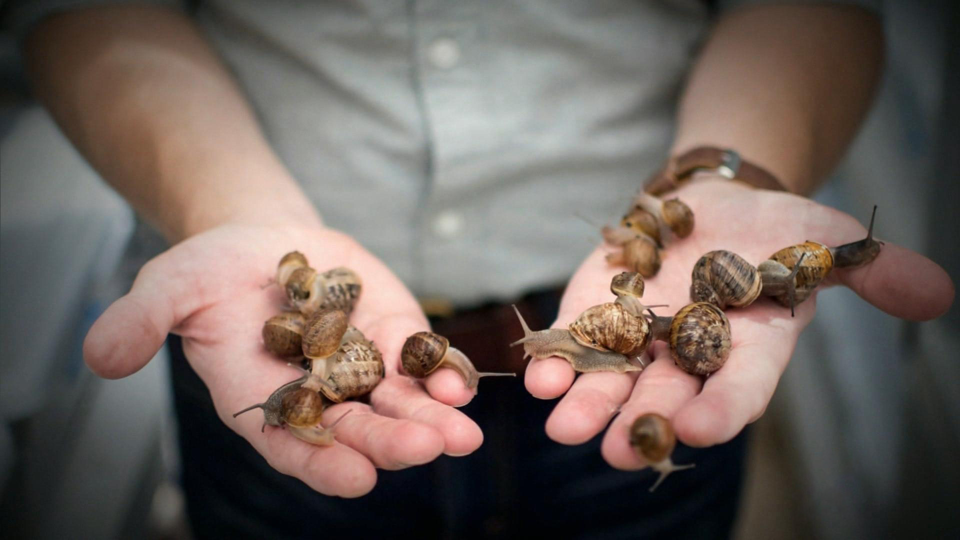 Watch Sunday Morning: Snails, the original slow food - Full show on CBS