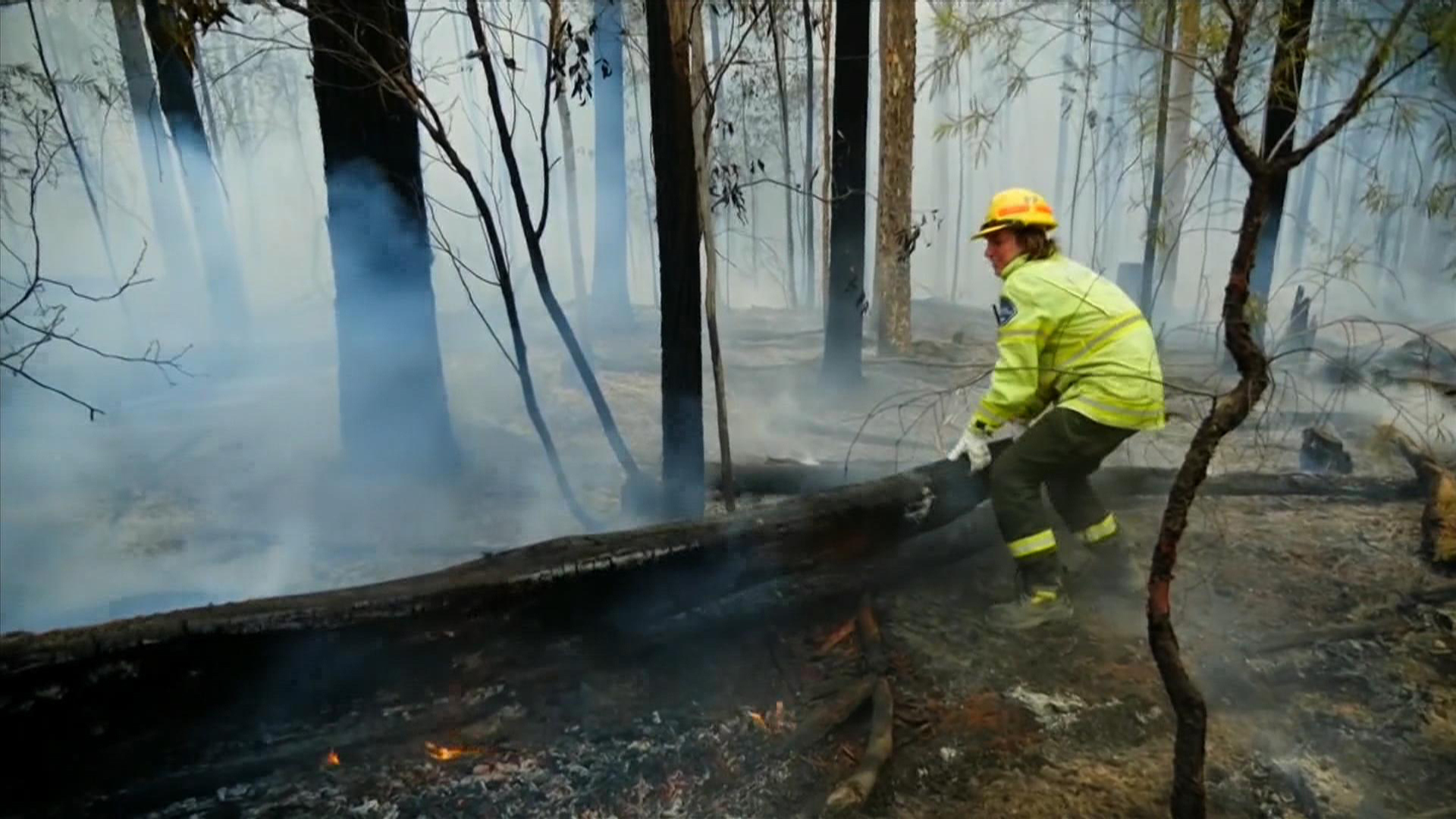 Watch CBS Evening News: Firefighters see hope in battling Australia ...