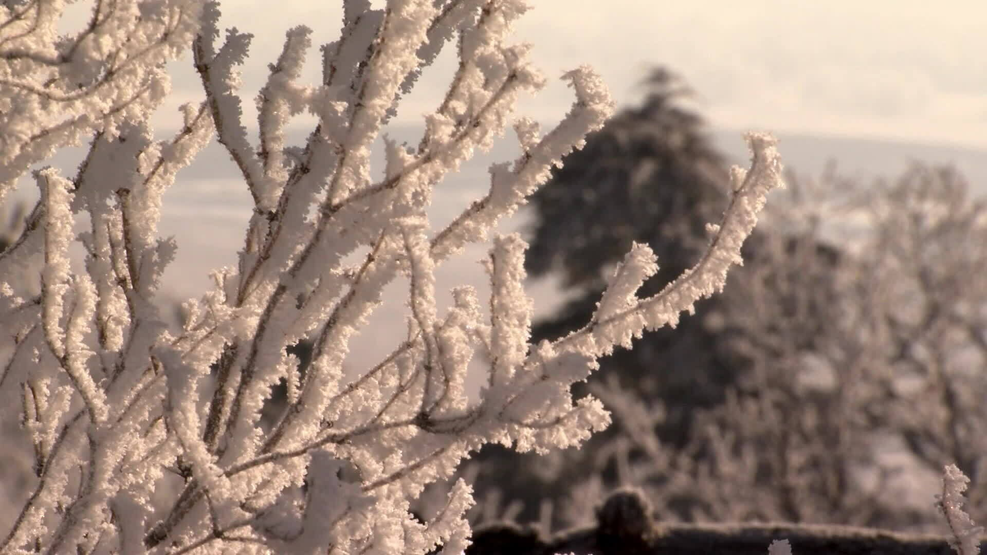 Watch Sunday Morning: Nature: Winter in Minnesota - Full show on CBS