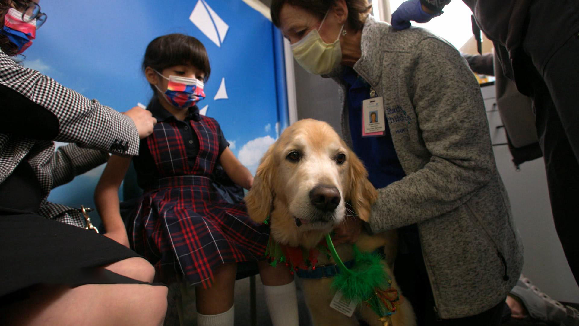 Watch CBS Mornings Dogs help calm kids getting vaccines - Paramount+