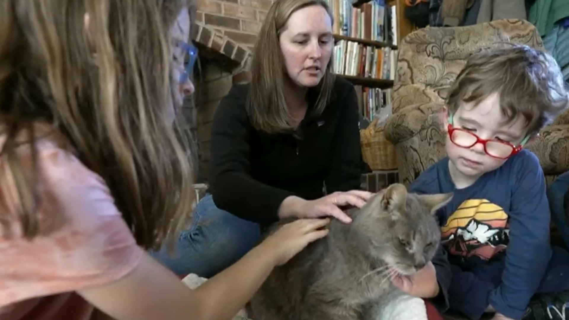 Watch CBS Evening News: Cat reunited with owners 16 years after running ...