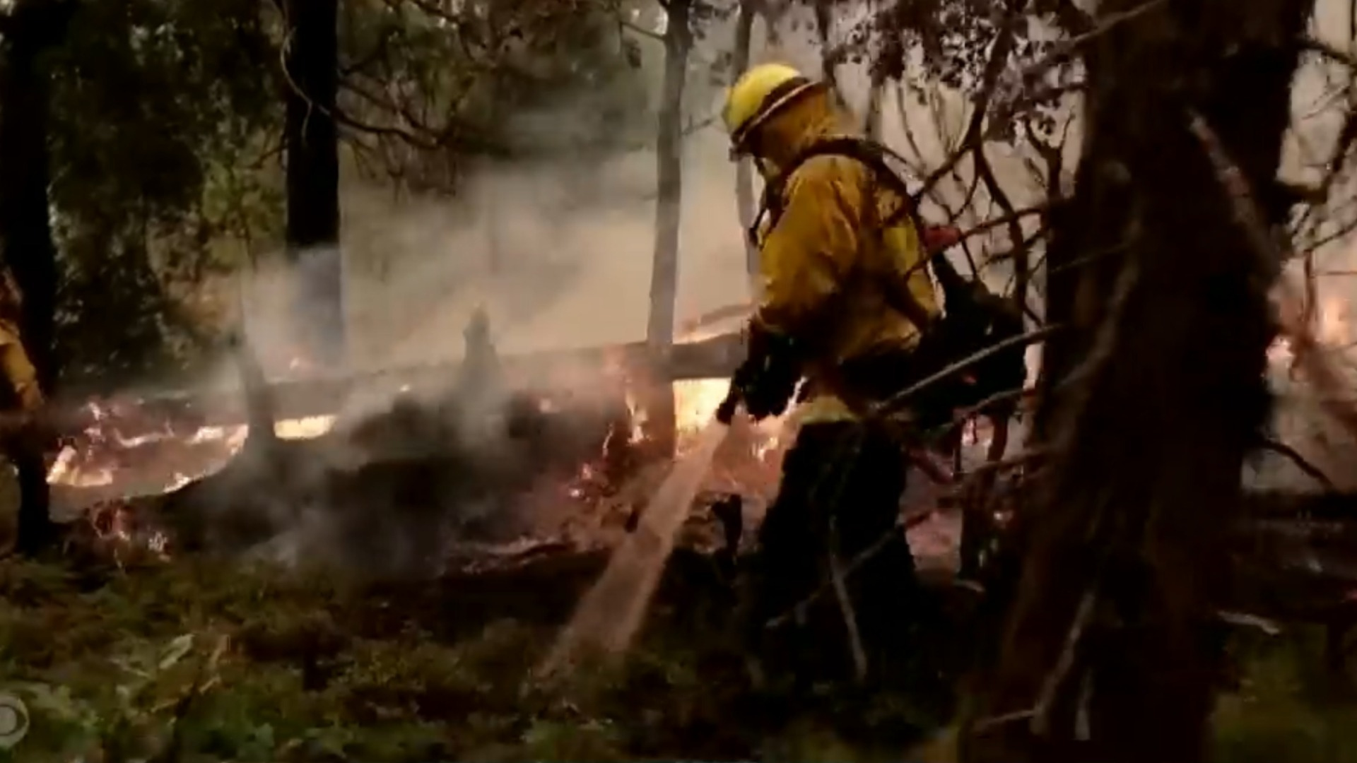 Watch CBS Evening News: Crews gain ground against California's Oak Fire ...