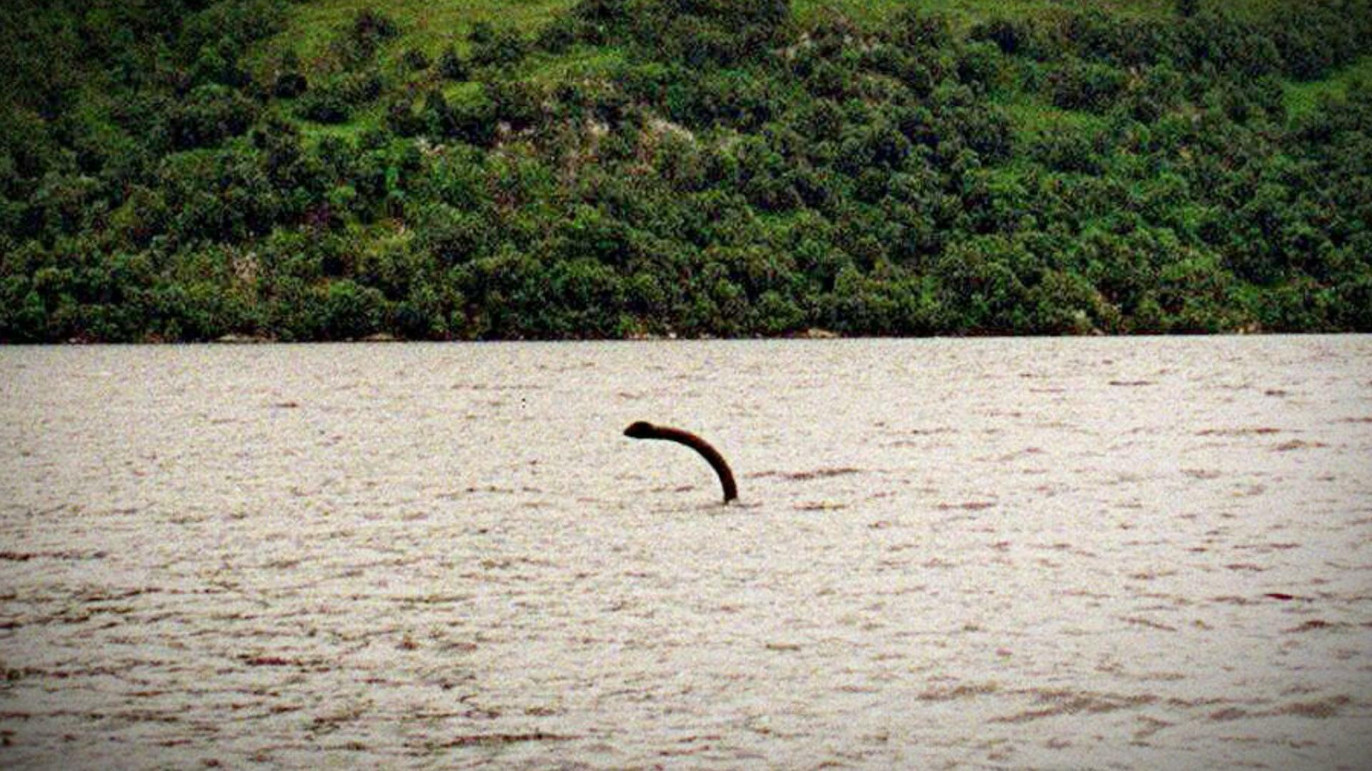 Watch CBS Saturday Morning: Discovery fuels Loch Ness Monster believers ...