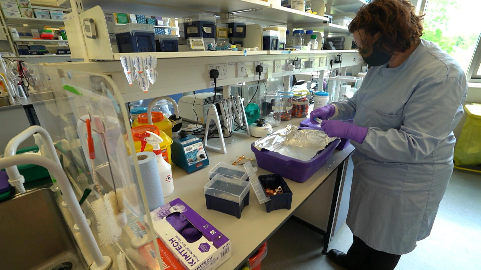 Watch CBS Saturday Morning: Scientists race to record genetic ...