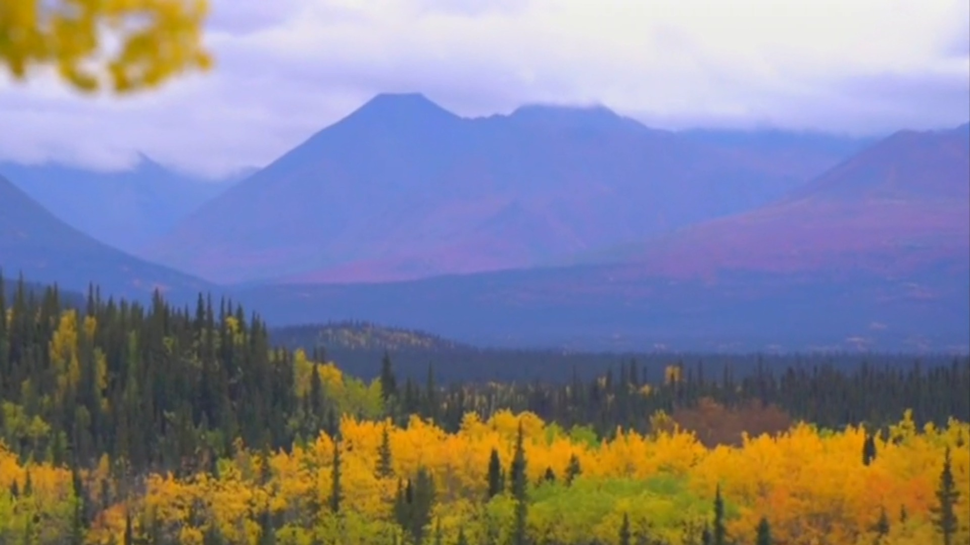 Watch CBS Evening News: Climate change sparks Alaska farm boom - Full ...