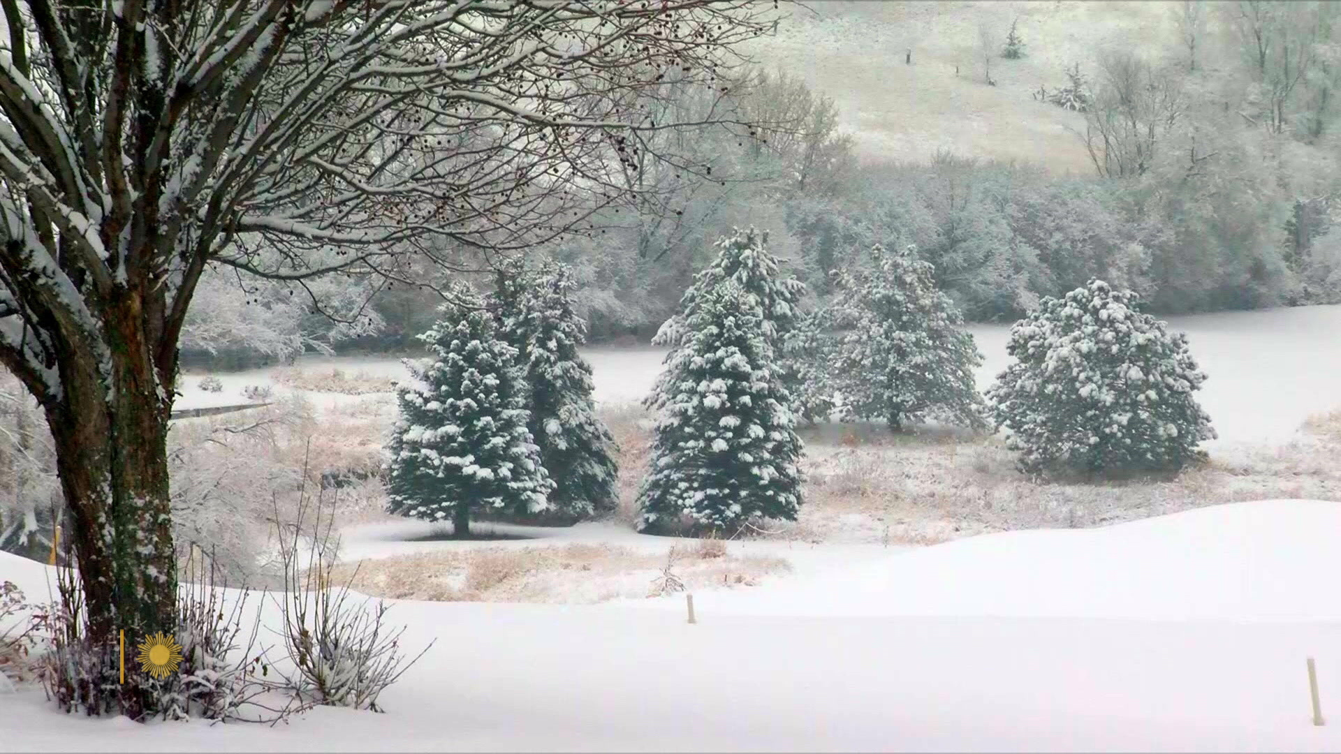 Watch Sunday Morning: Nature: Winter in South Dakota - Full show on ...