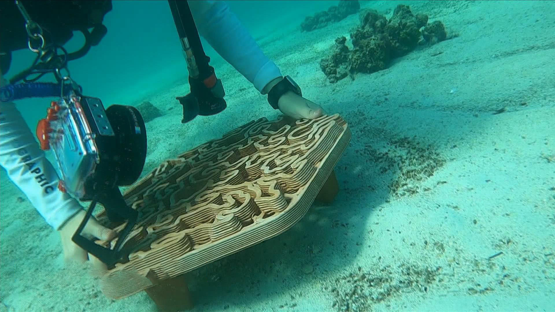 Watch CBS Mornings Season Episode : 3D printed “tiles” help revive ...