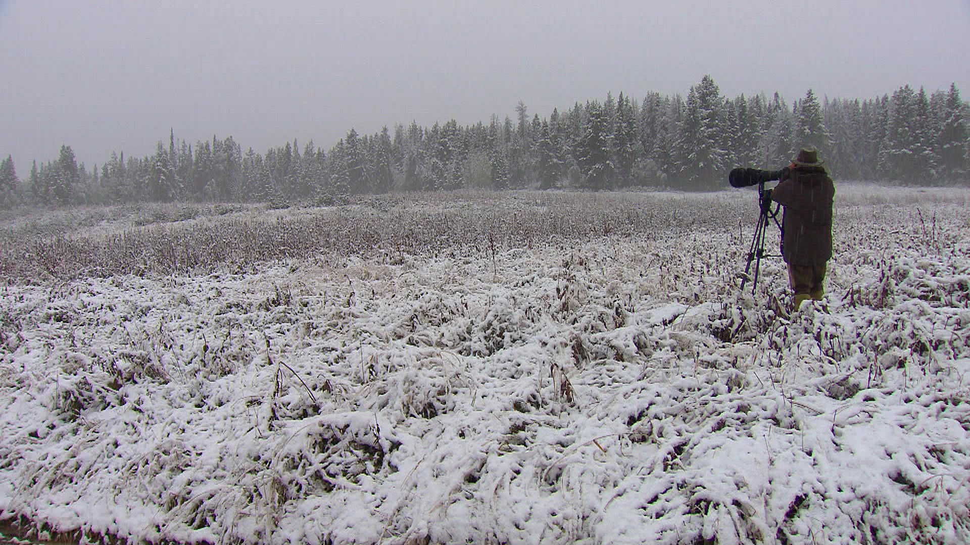 Watch 60 Minutes Overtime: Capturing nature's beauty and fragility ...