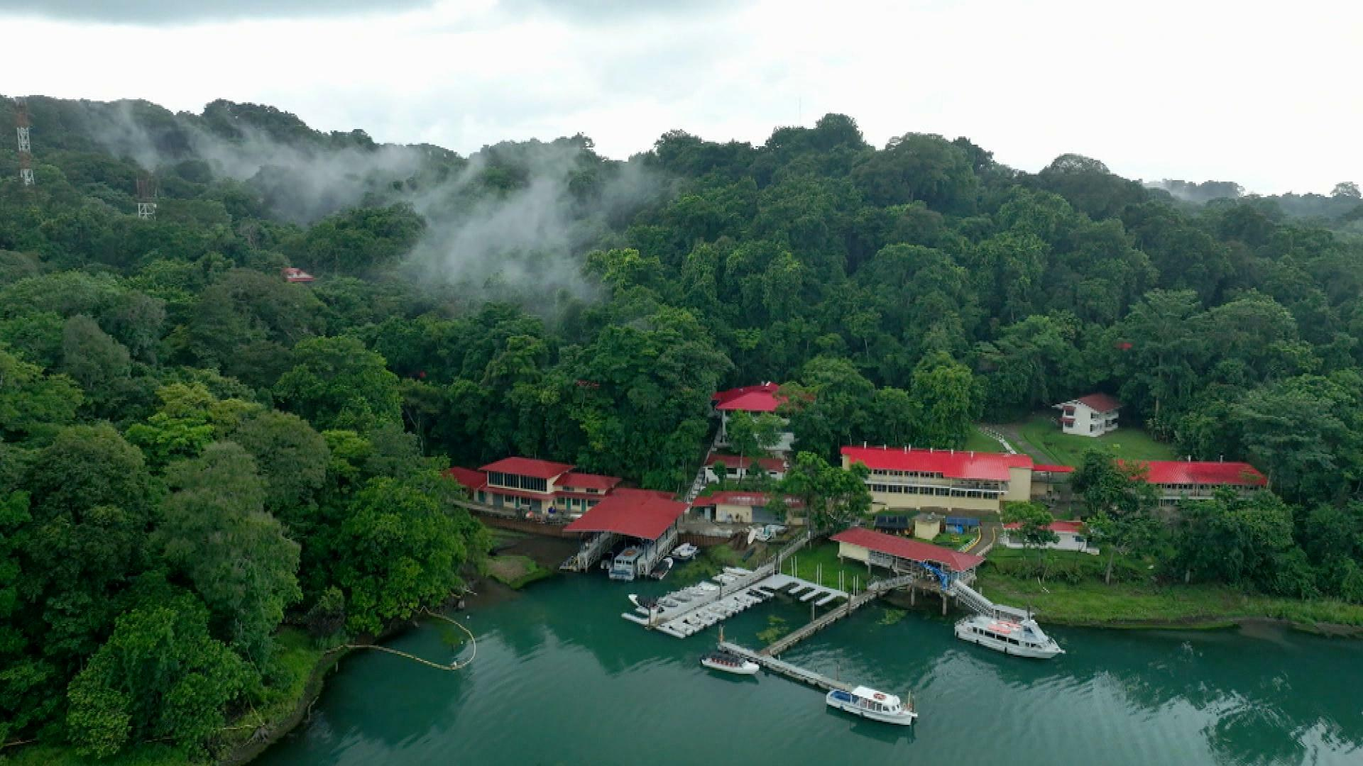 Watch CBS Saturday Morning: Inside the Smithsonian's tropical forest lab - Full show on CBS