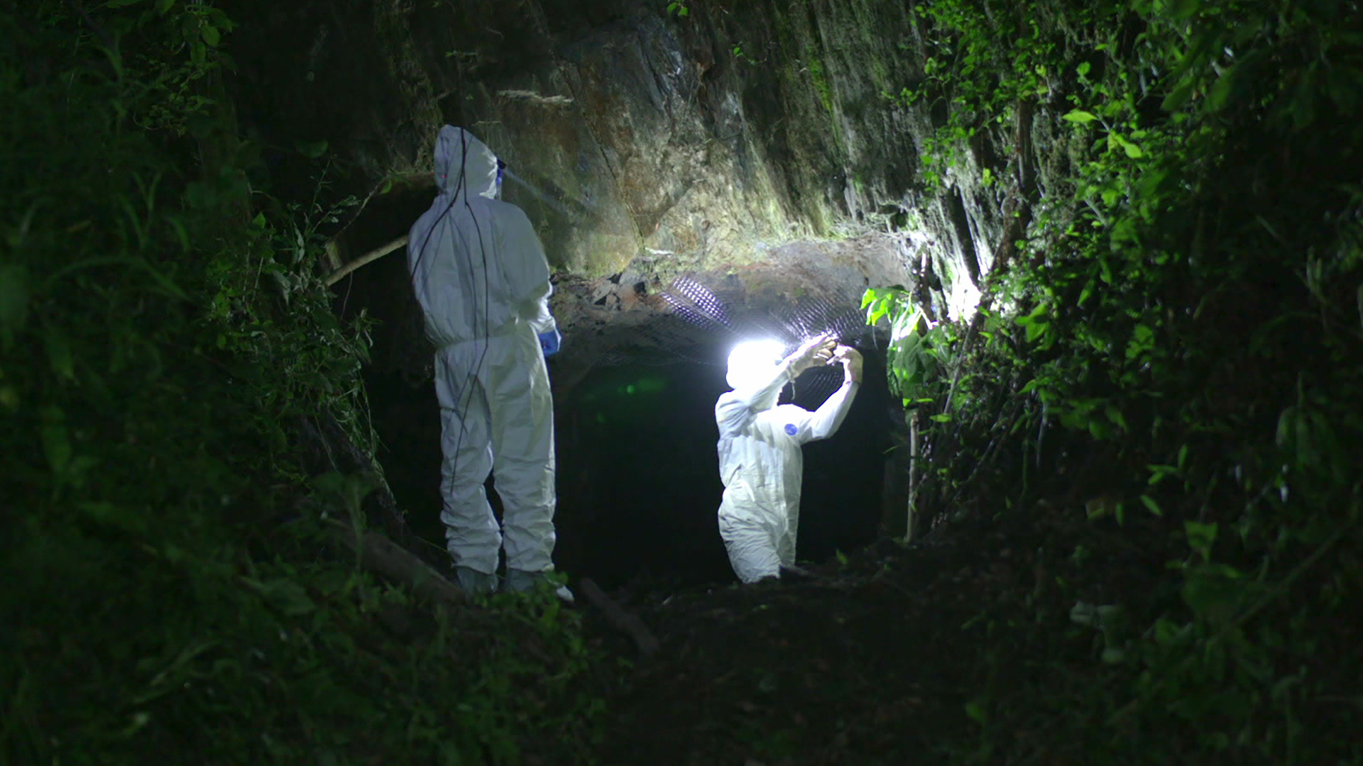 Watch 60 Minutes Overtime Season 56 Episode 16: Pathogen X | 60 Minutes ...