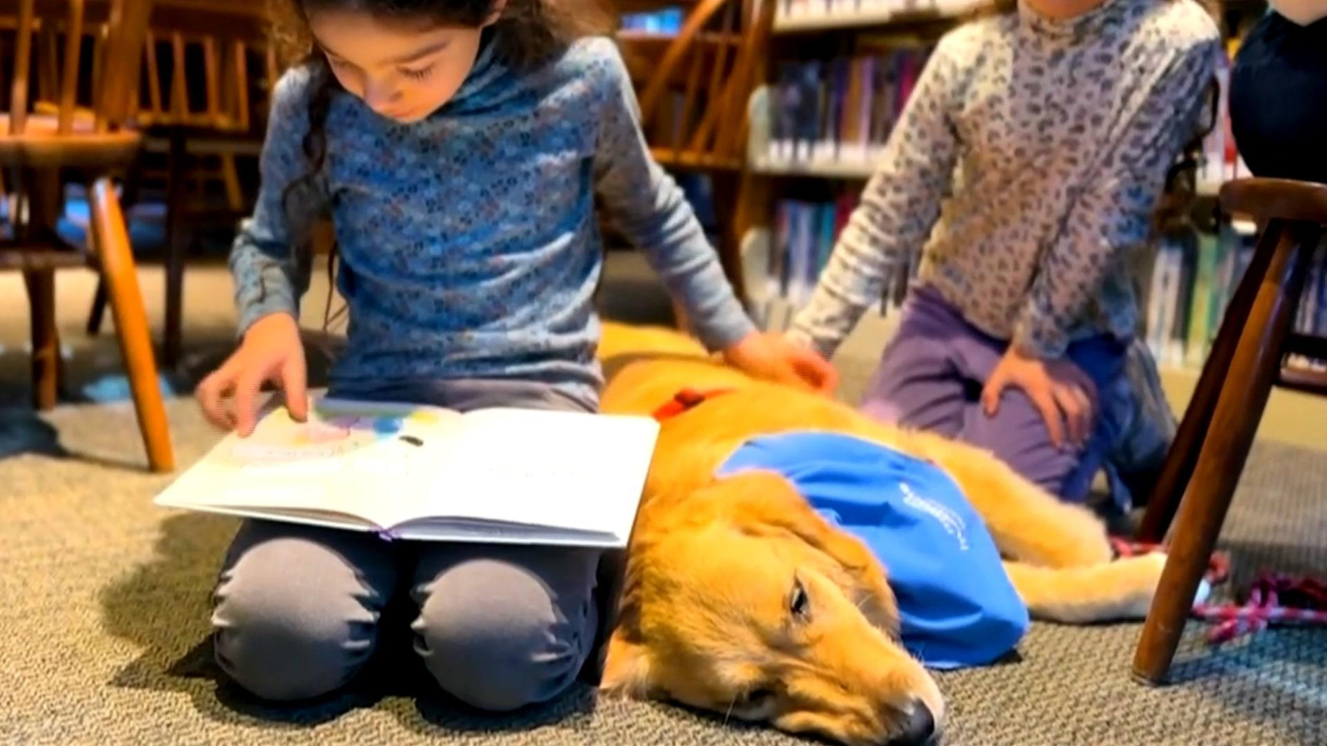 Watch CBS Evening News: Library takes unusual approach to teaching ...