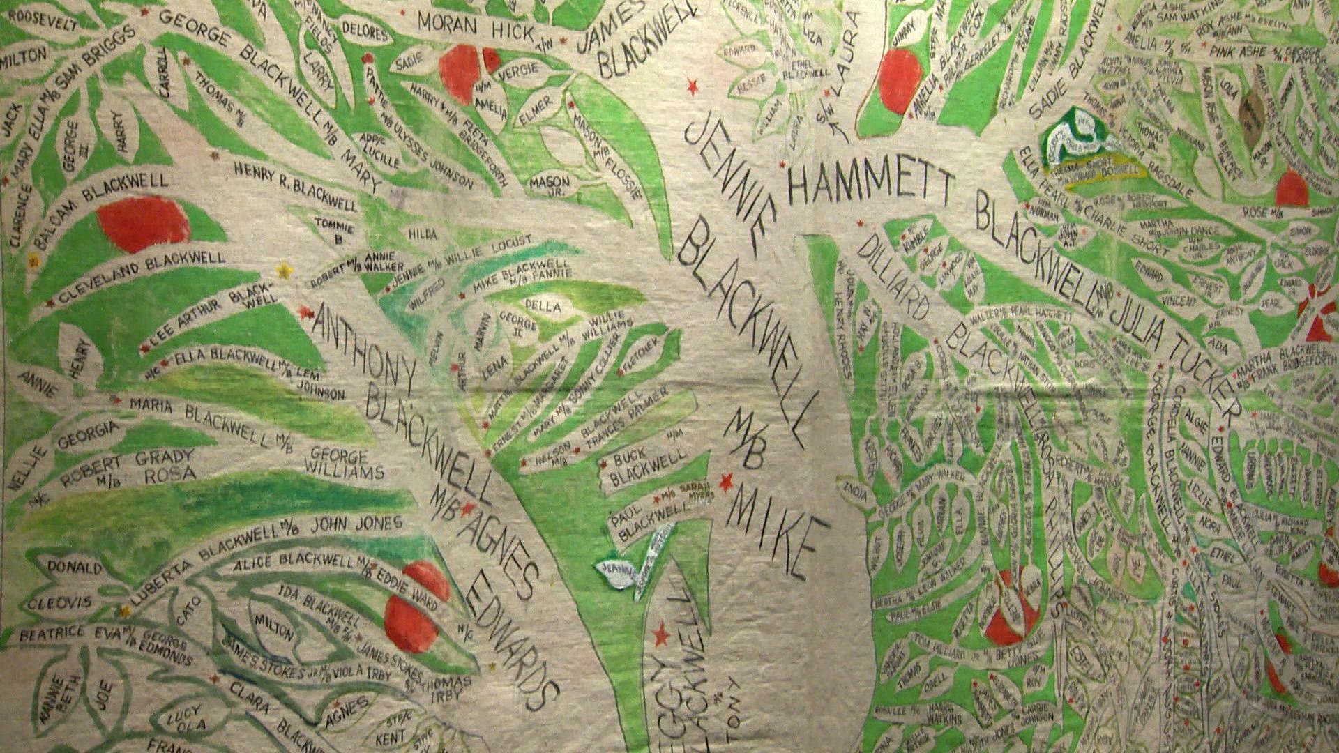 Watch CBS Saturday Morning: Family tree displayed at Library of ...