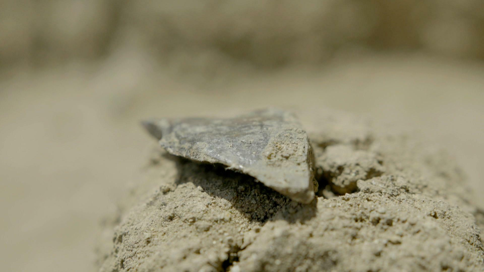 Watch CBS Saturday Morning: Researchers find 3-million-year-old tools ...